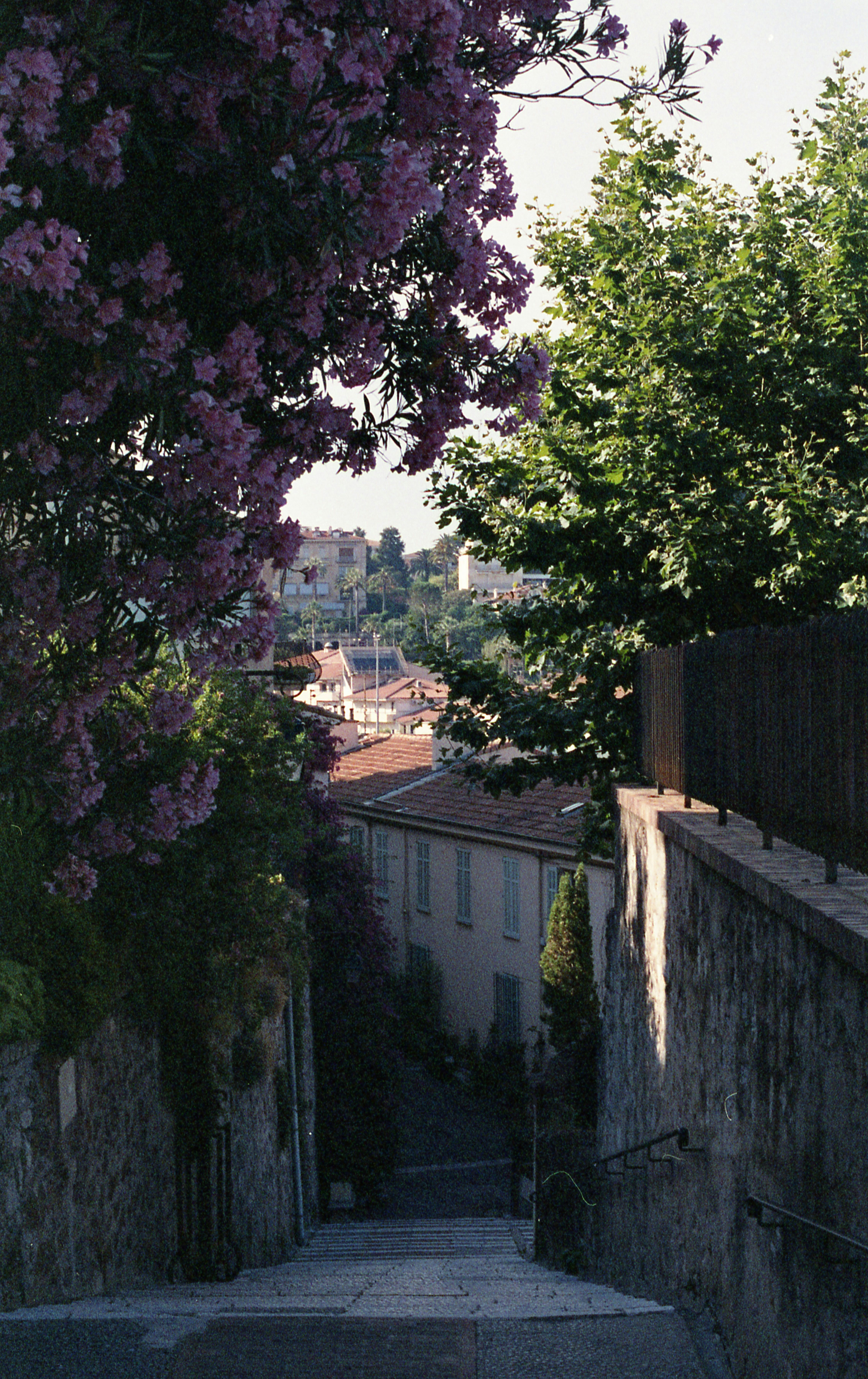 Stairway through a flowering alley toward a sunlit hillside town
