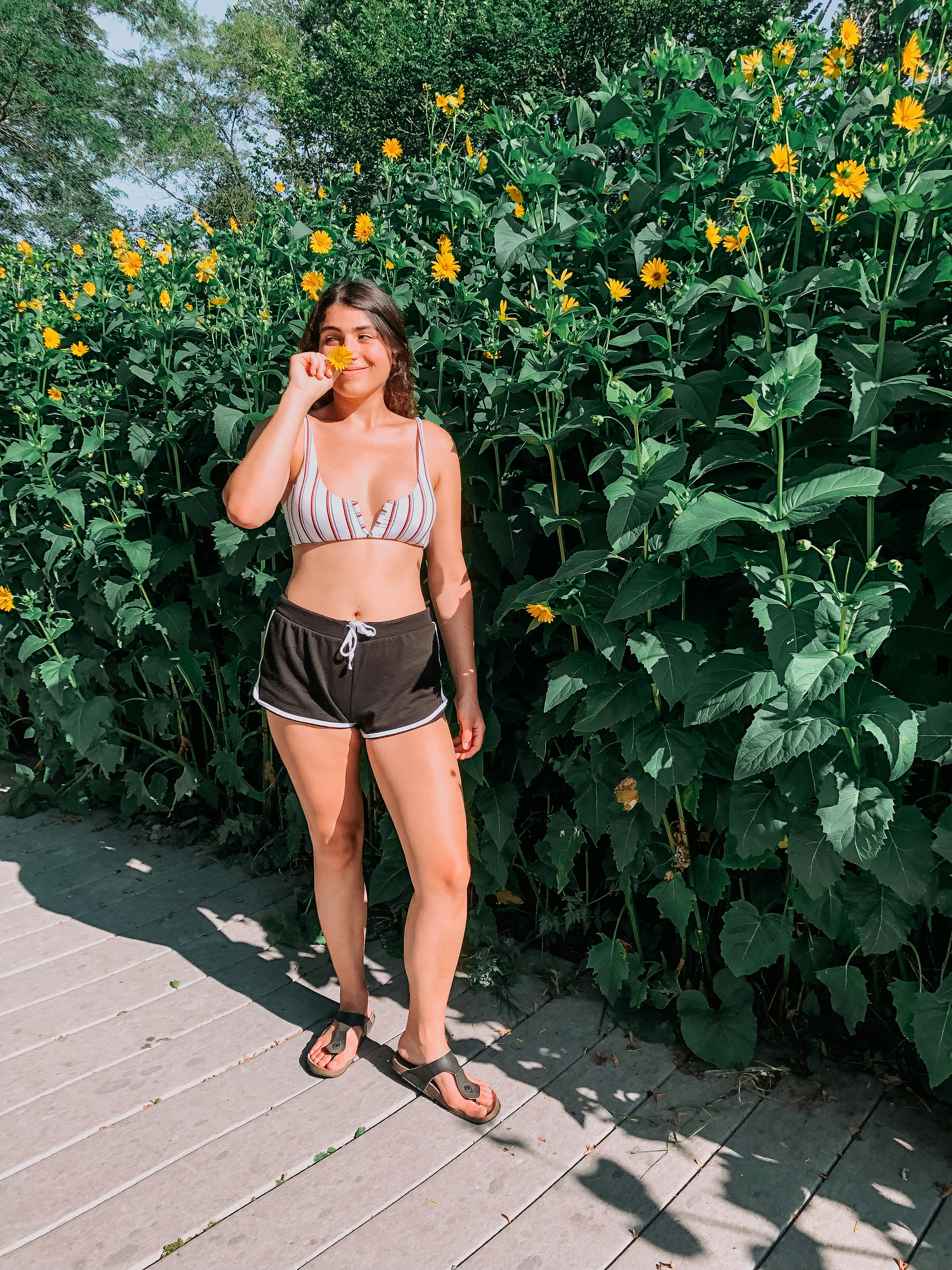 Sun-kissed Portrait Amid a Sea of Sunflowers