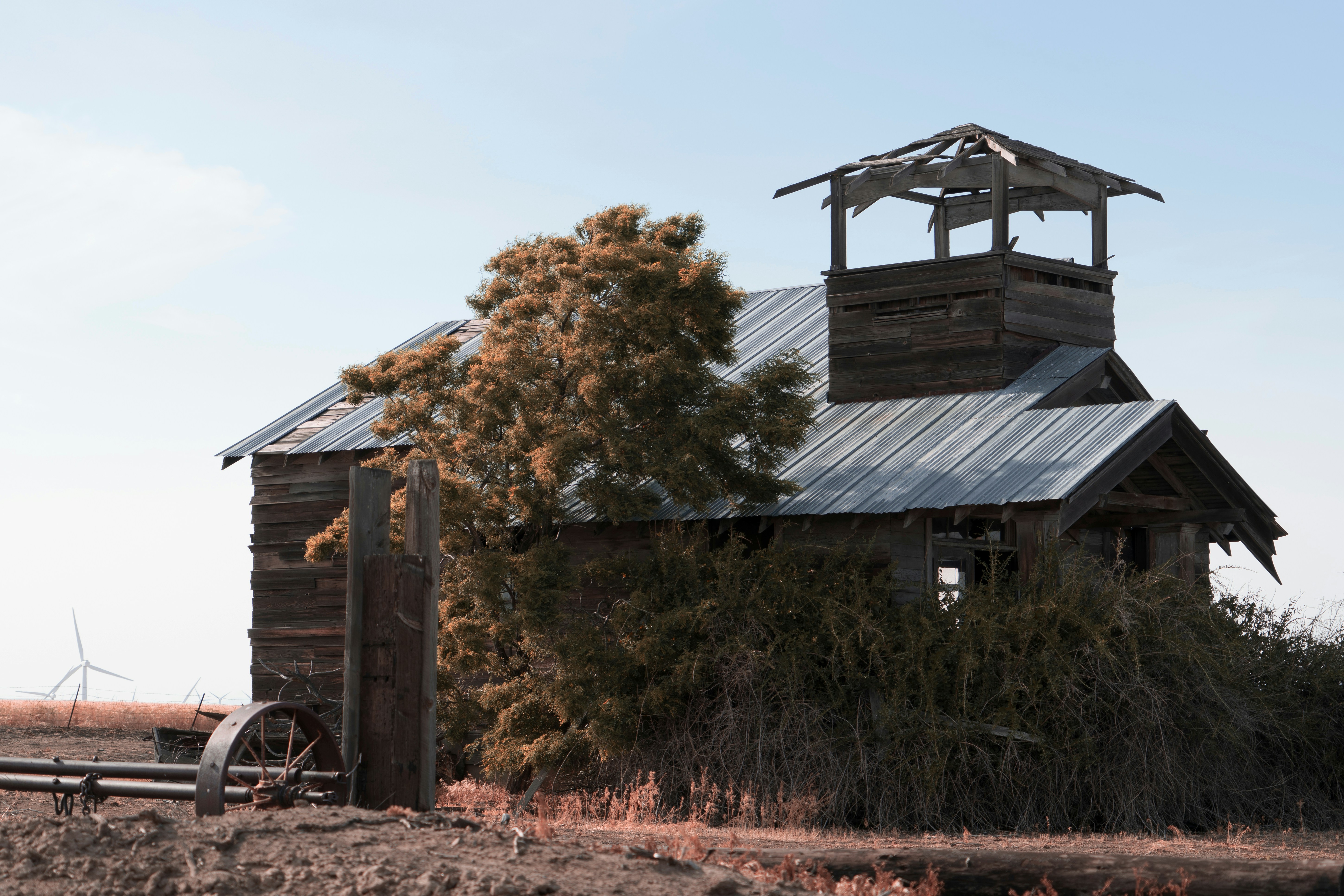 Weathered wooden structure overtaken by nature, showcasing a blend of decay and resilience. The scene captures the essence of forgotten rural life.
