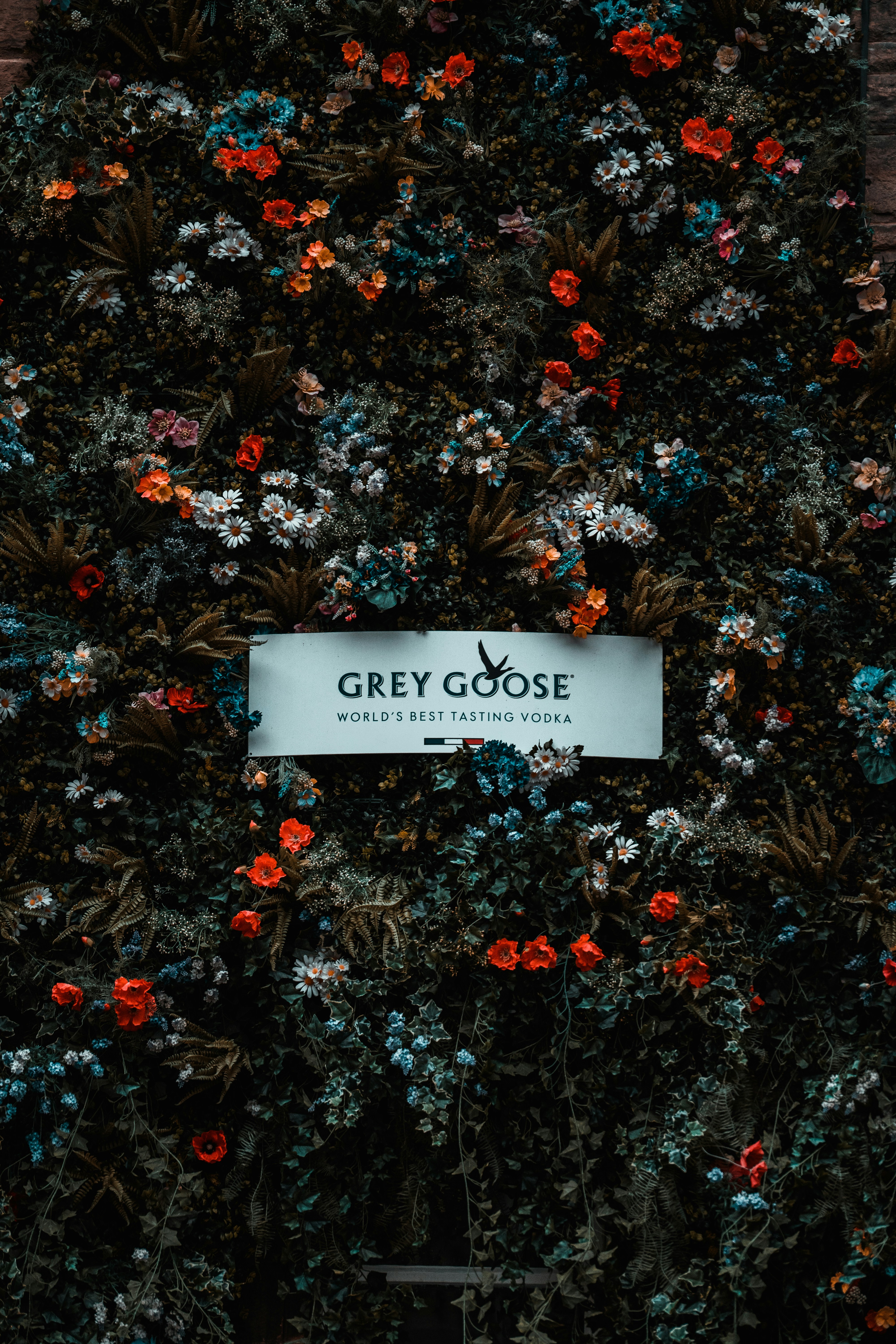 Señalización de Grey Goose foto – Imagen de Hoja gratuita en Unsplash