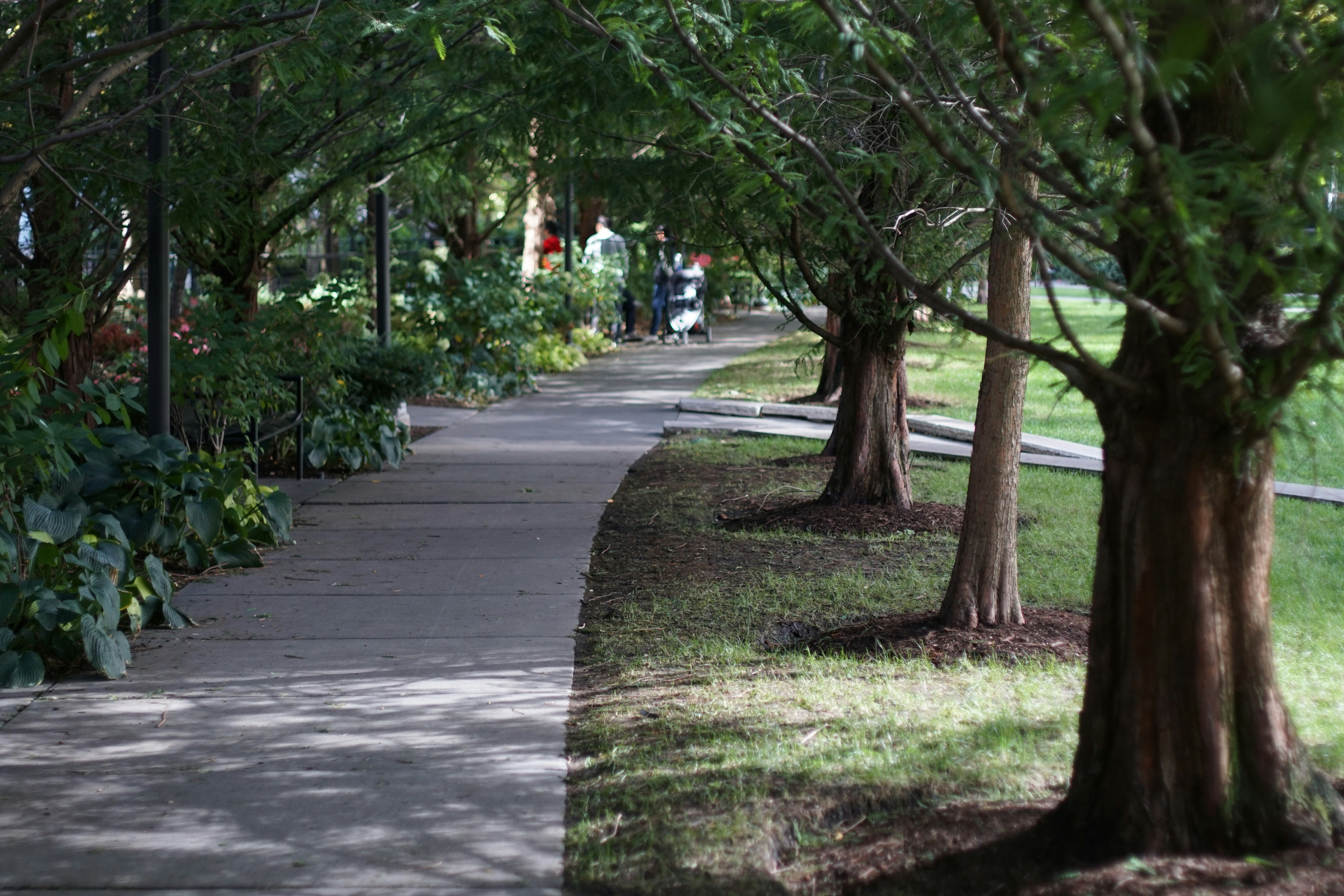 Grey concrete pathway photo – Free Tree Image on Unsplash