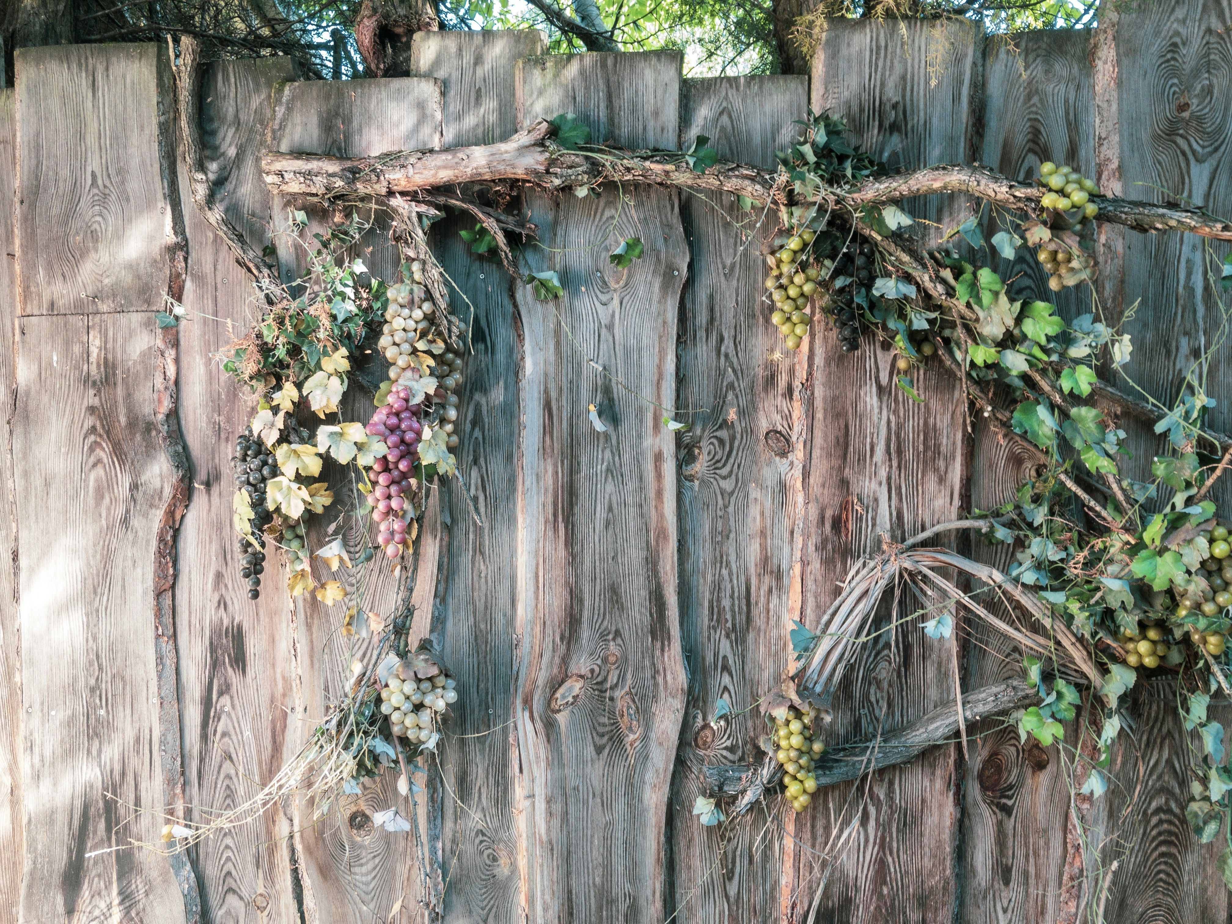 Wood texture

MY PRESETS: https://bit.ly/2TyvzRK
BEHANCE: http://behance.net/szaboviktor
BLOG: https://blog.szaboviktor.com 
SUPPORT: https://www.paypal.me/szaboviktor 
