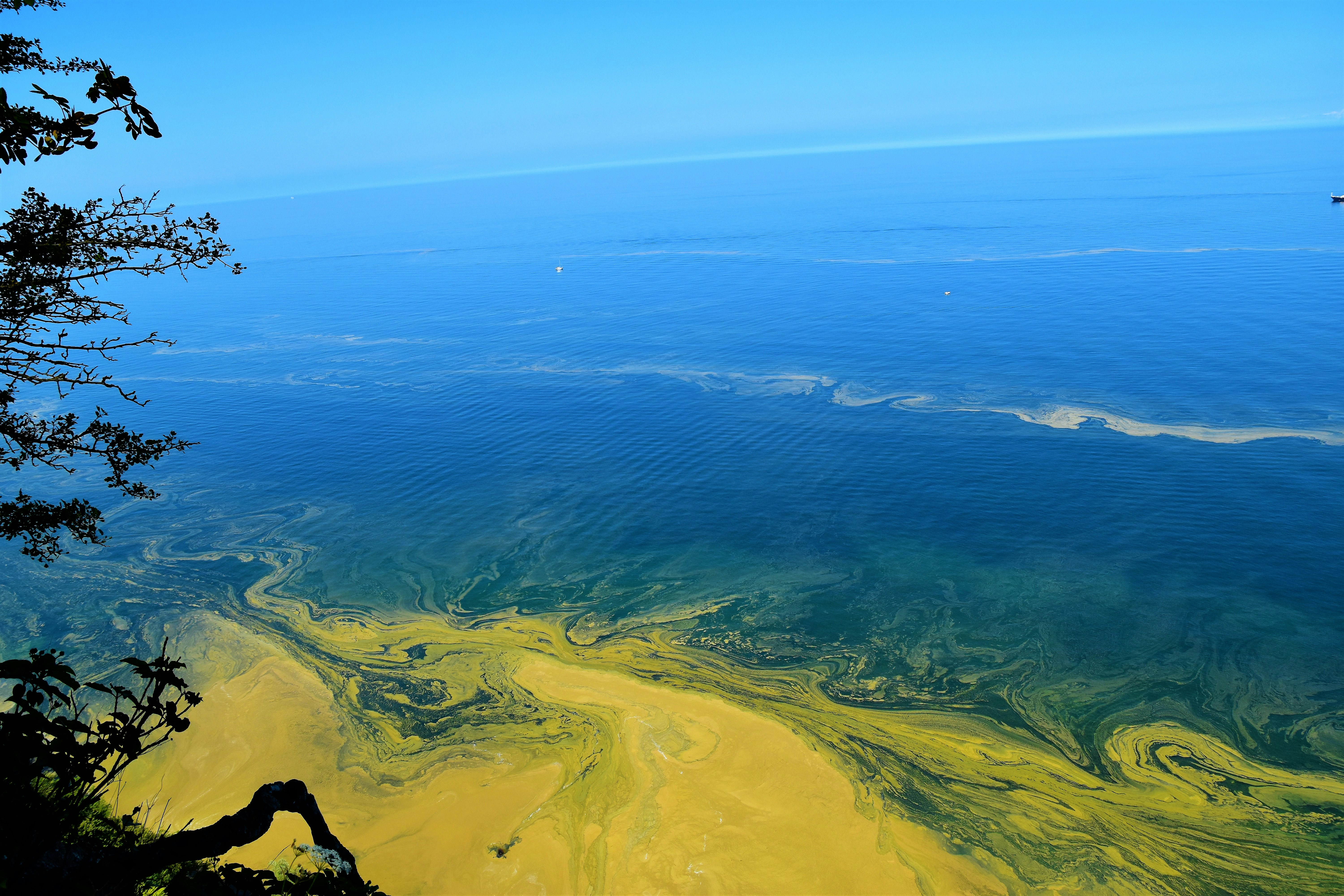 Vibrant patterns of algae and water create a mesmerizing abstract scene along the shoreline. The interplay of colors reflects the dynamic nature of the aquatic environment.