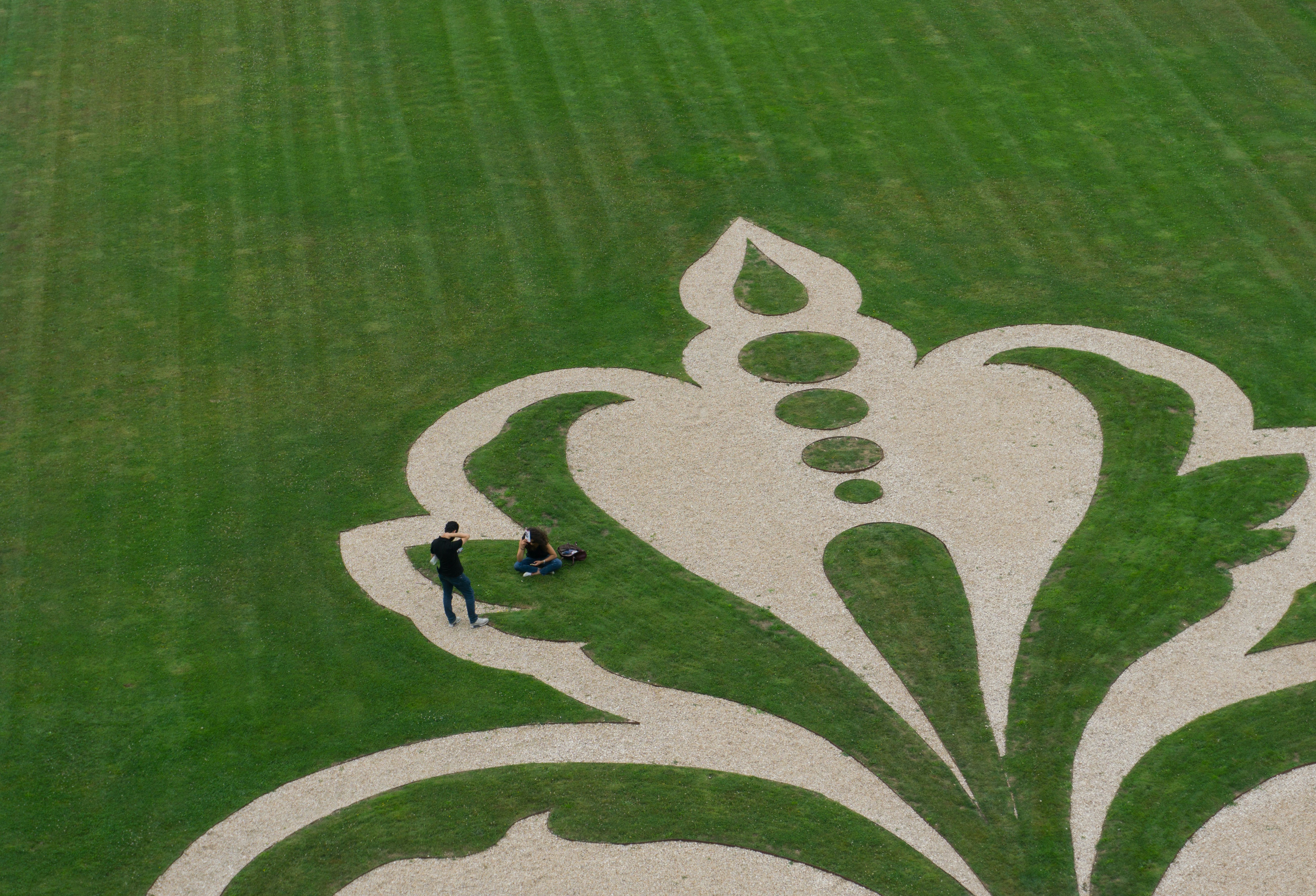 Two Explorers on a Giant Floriform Lawn