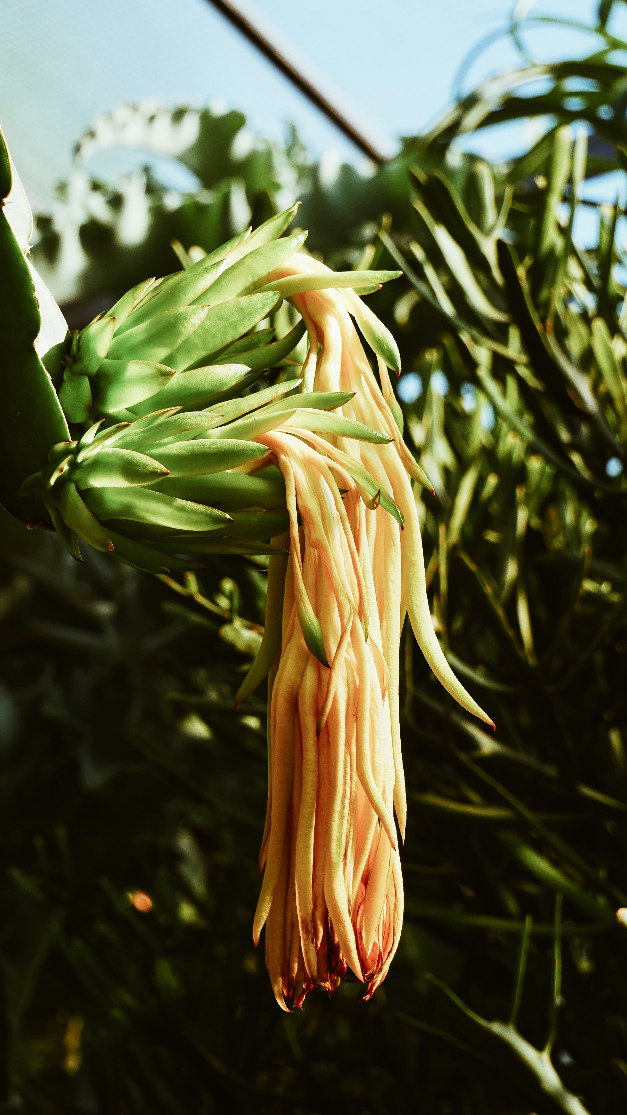 Sample photo from Panasonic Lumix DMC-G70