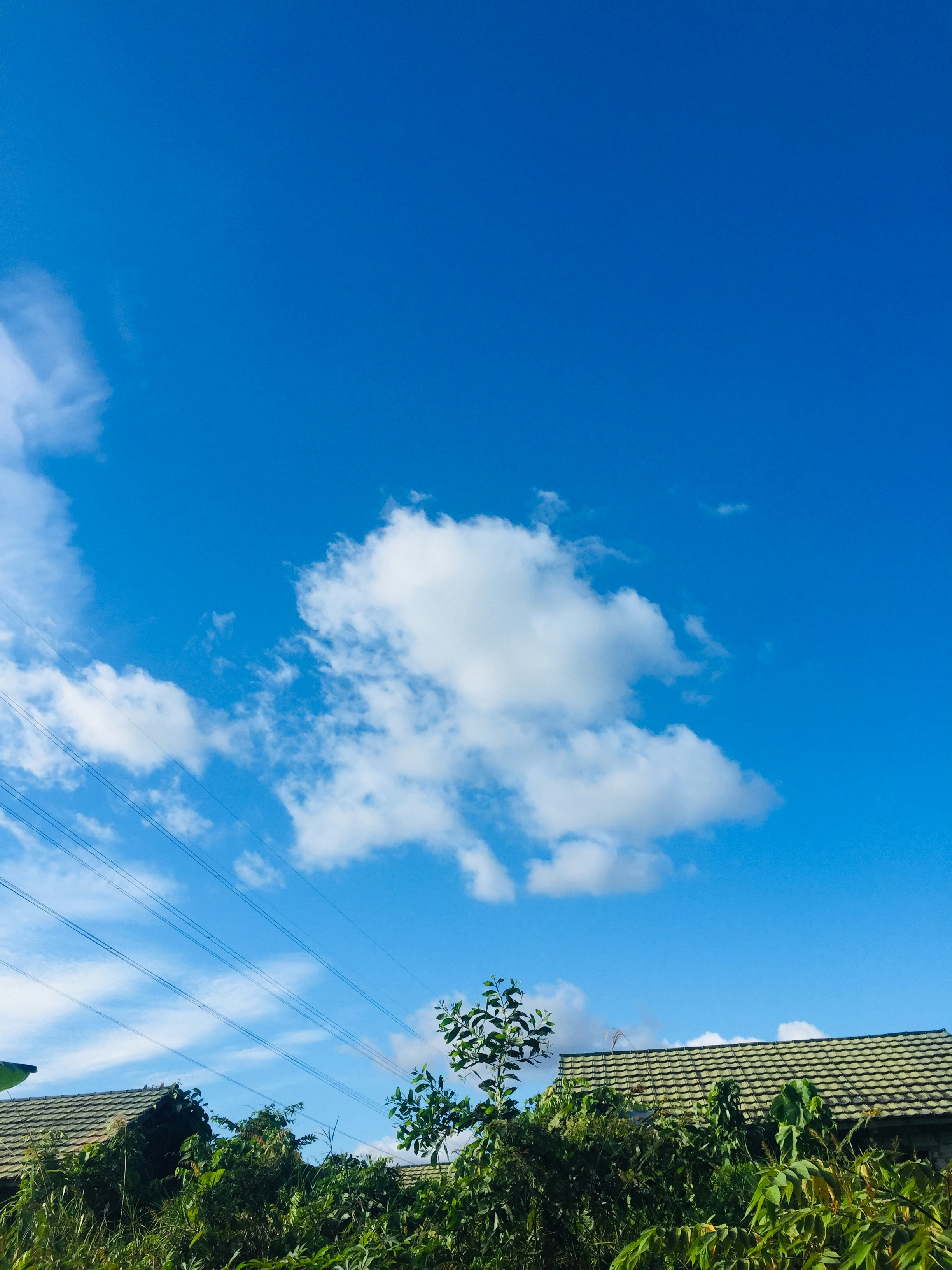 Fluffy white clouds drift across a vibrant blue sky above a rooftop and lush greenery.
