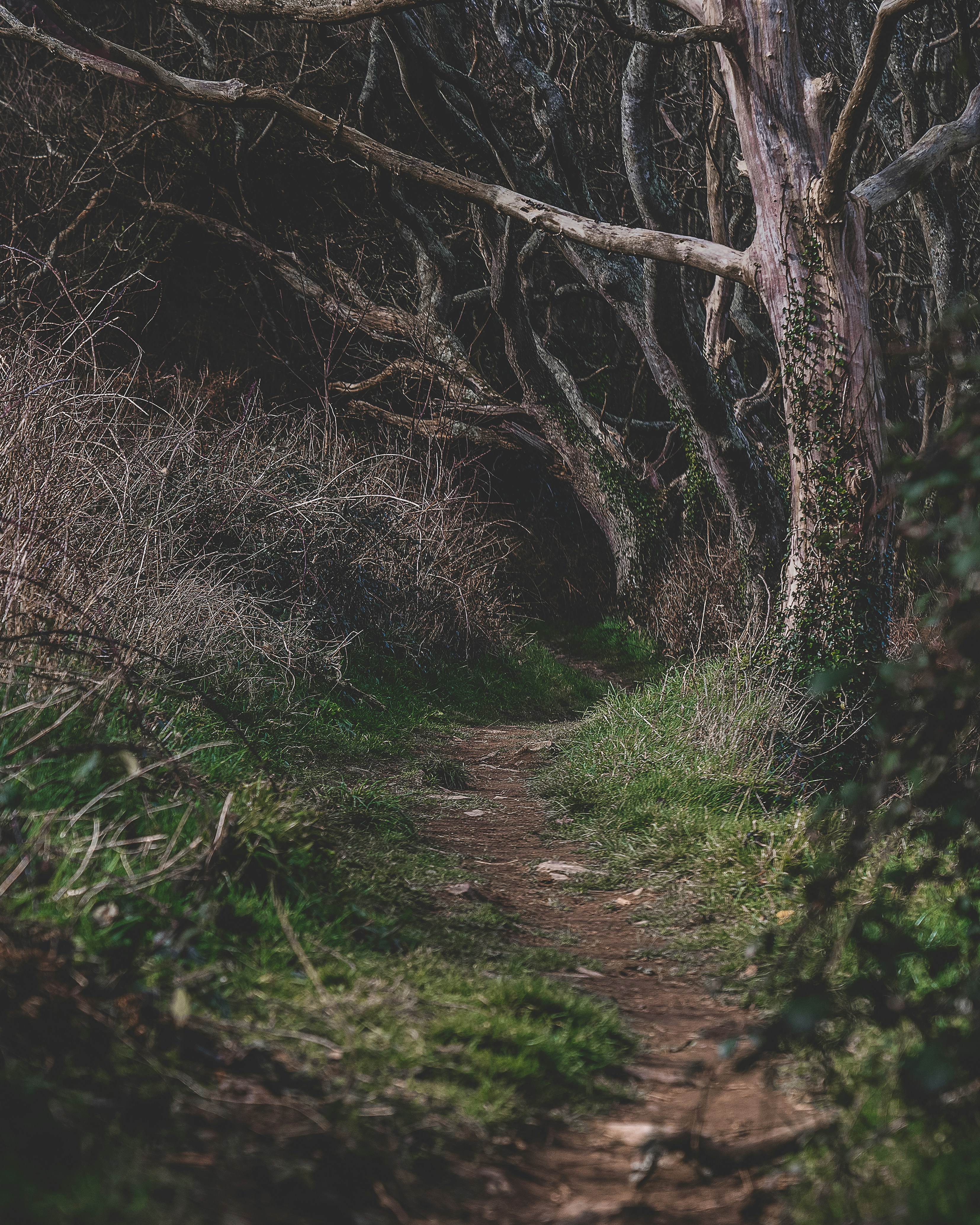 Mason Summers (@_masonsummers) | Unsplash 사진 커뮤니티