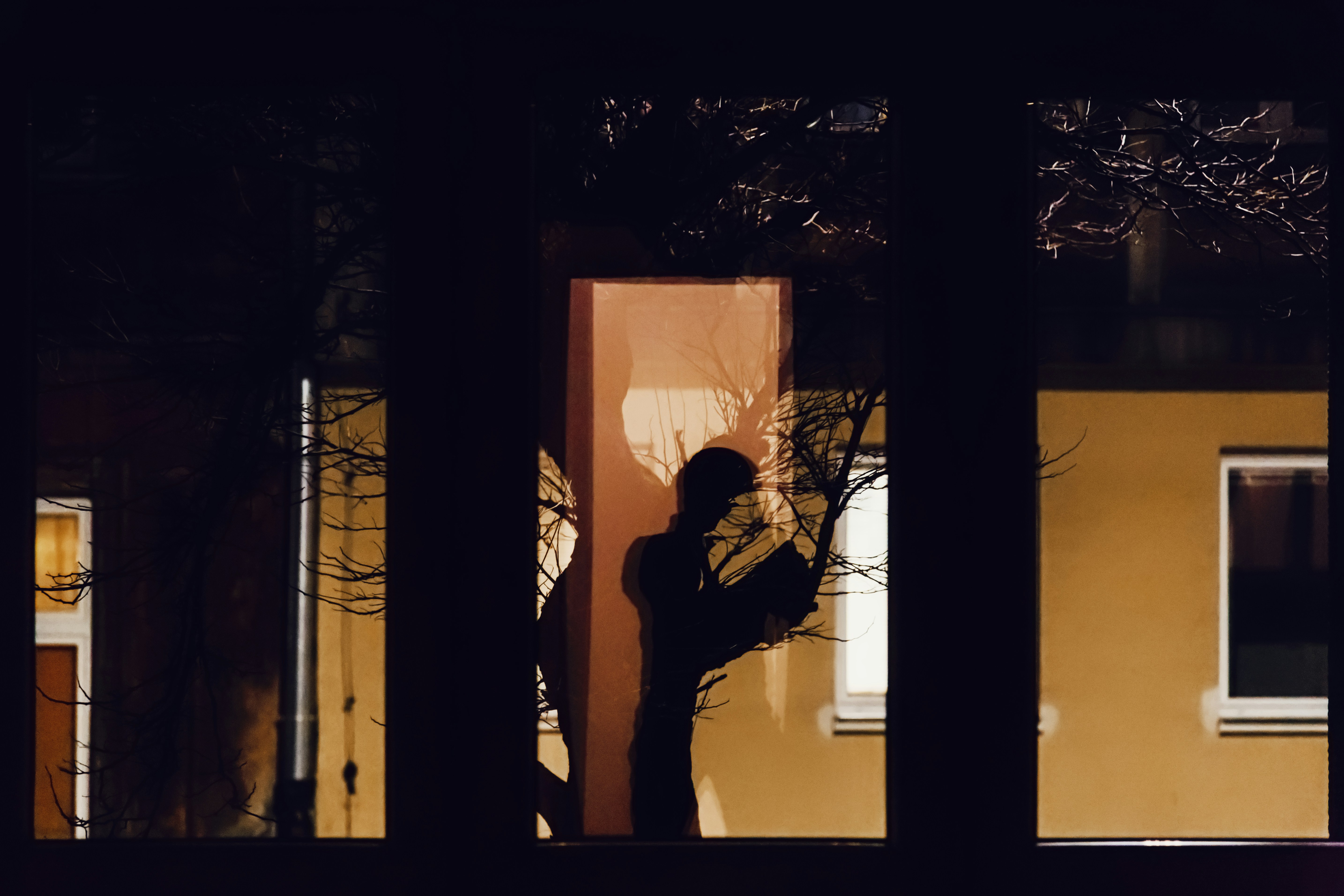 Reflection of tree through window photo – Free Brown Image on Unsplash