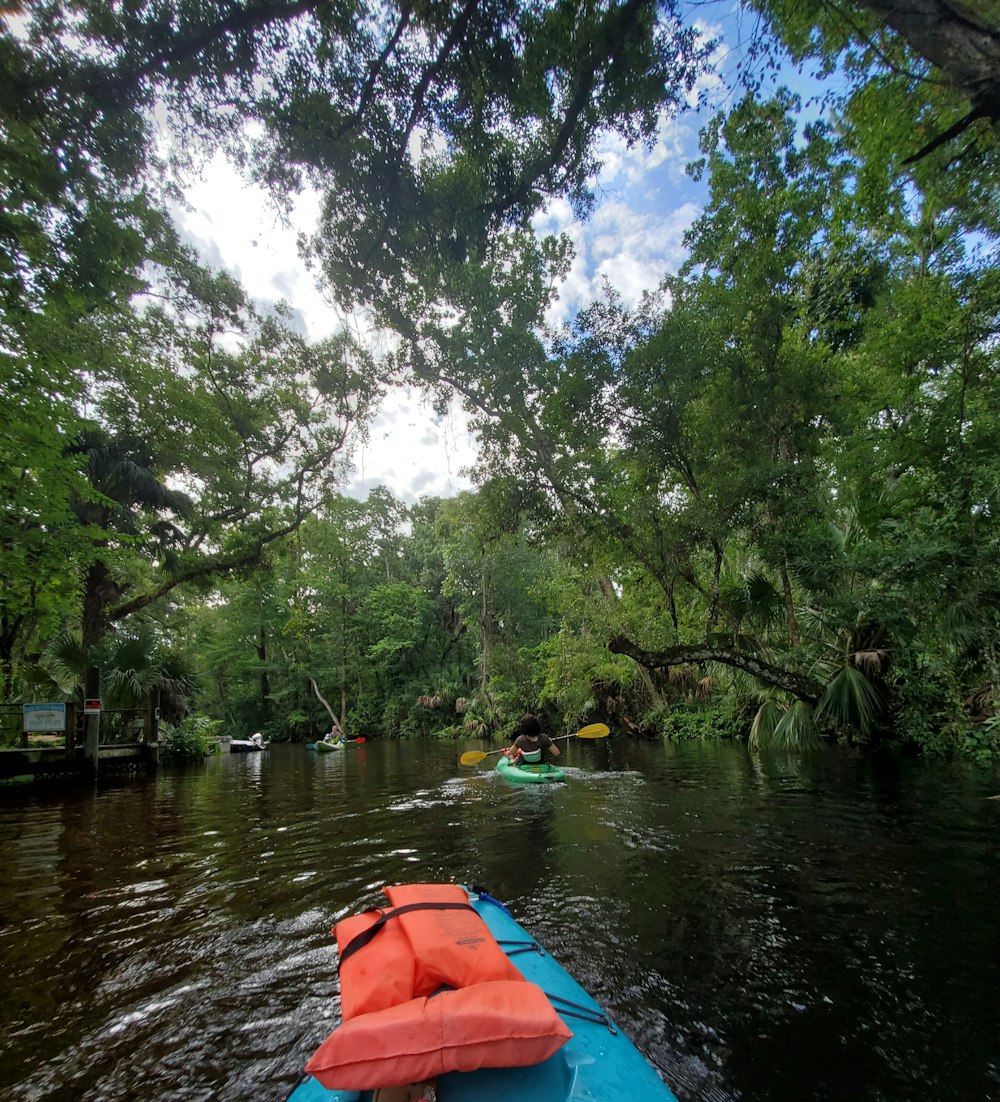 Autumn Kuney (@autumnkuney) | Unsplash Photo Community