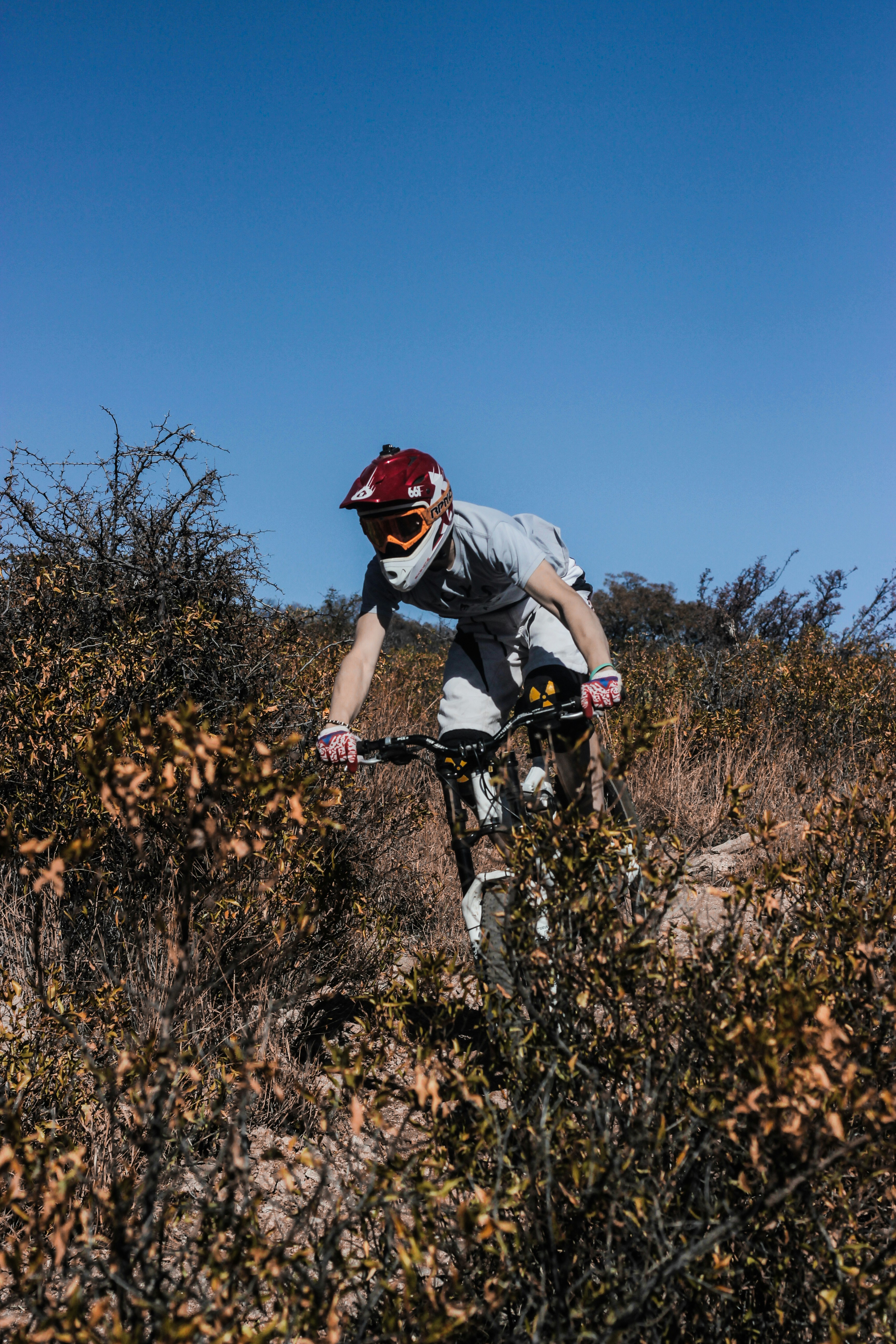 Downhill Dash: Focused Rider Cut Through the Brush