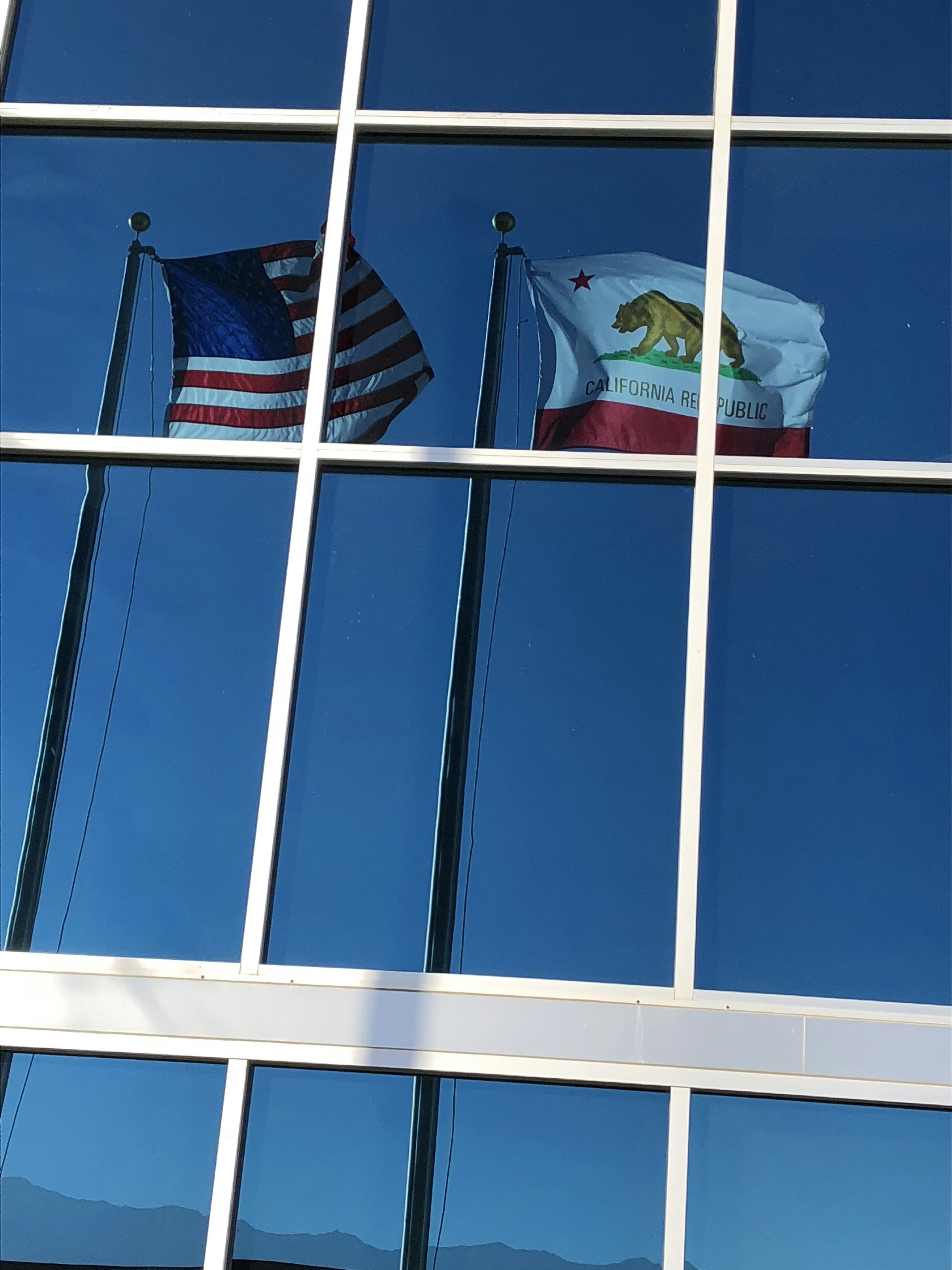 American and California flags reflected in modern glass facade, highlighting a blend of nature and architecture.
