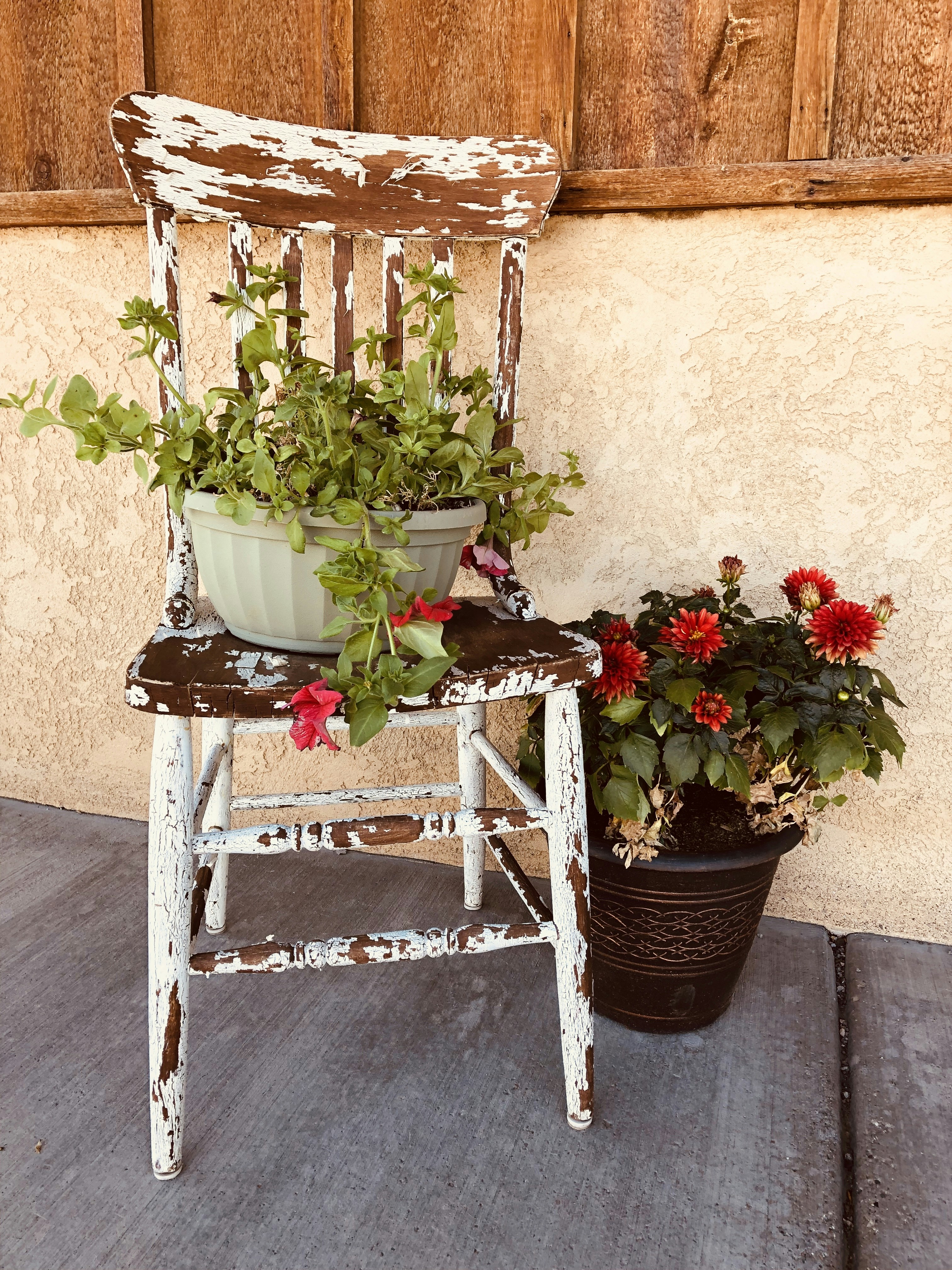 Weathered Chair with Potted Plants: Quiet Porch Still Life