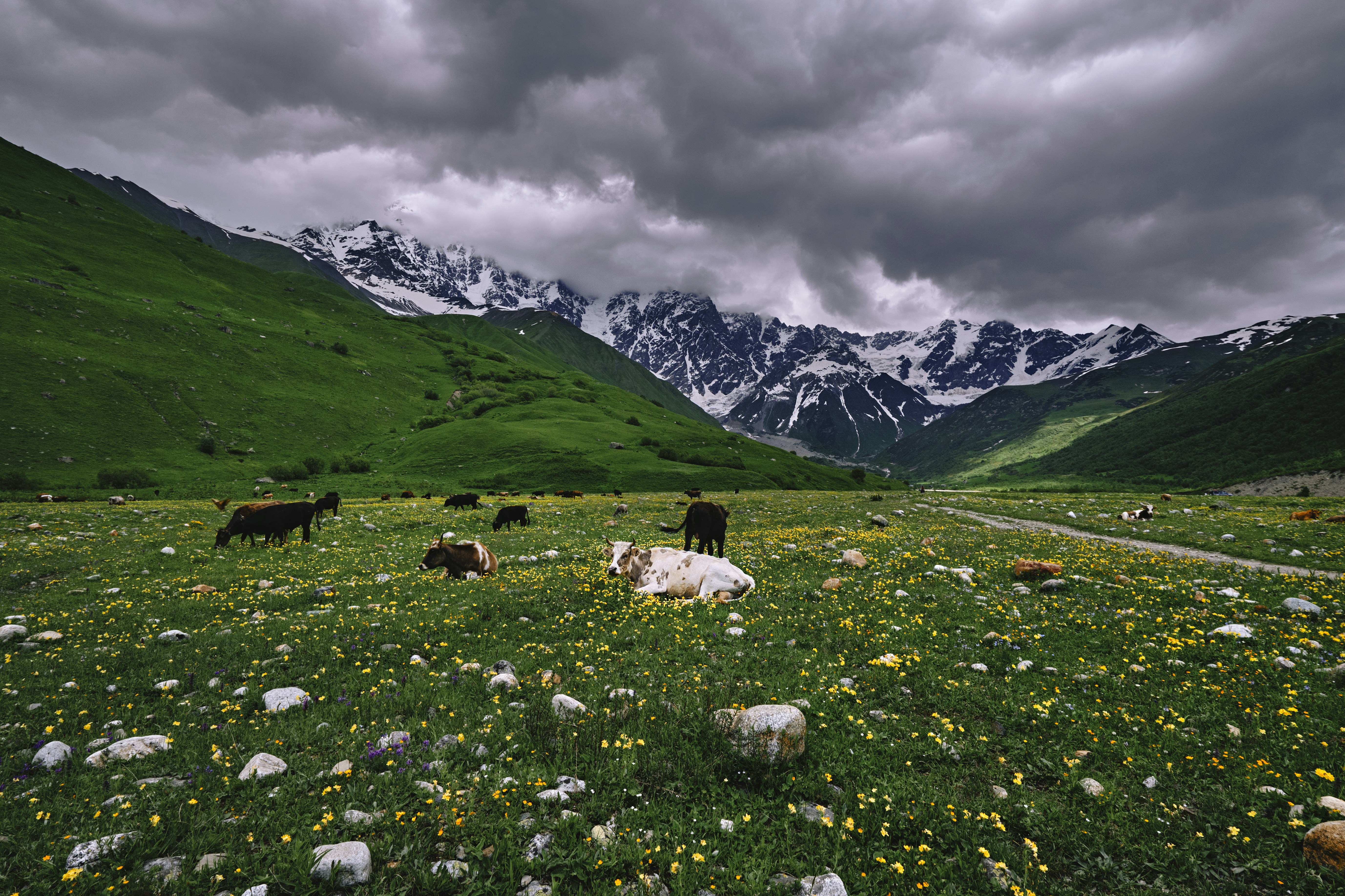 Foto Montañas verdes y blancas bajo un cielo gris durante el día ...