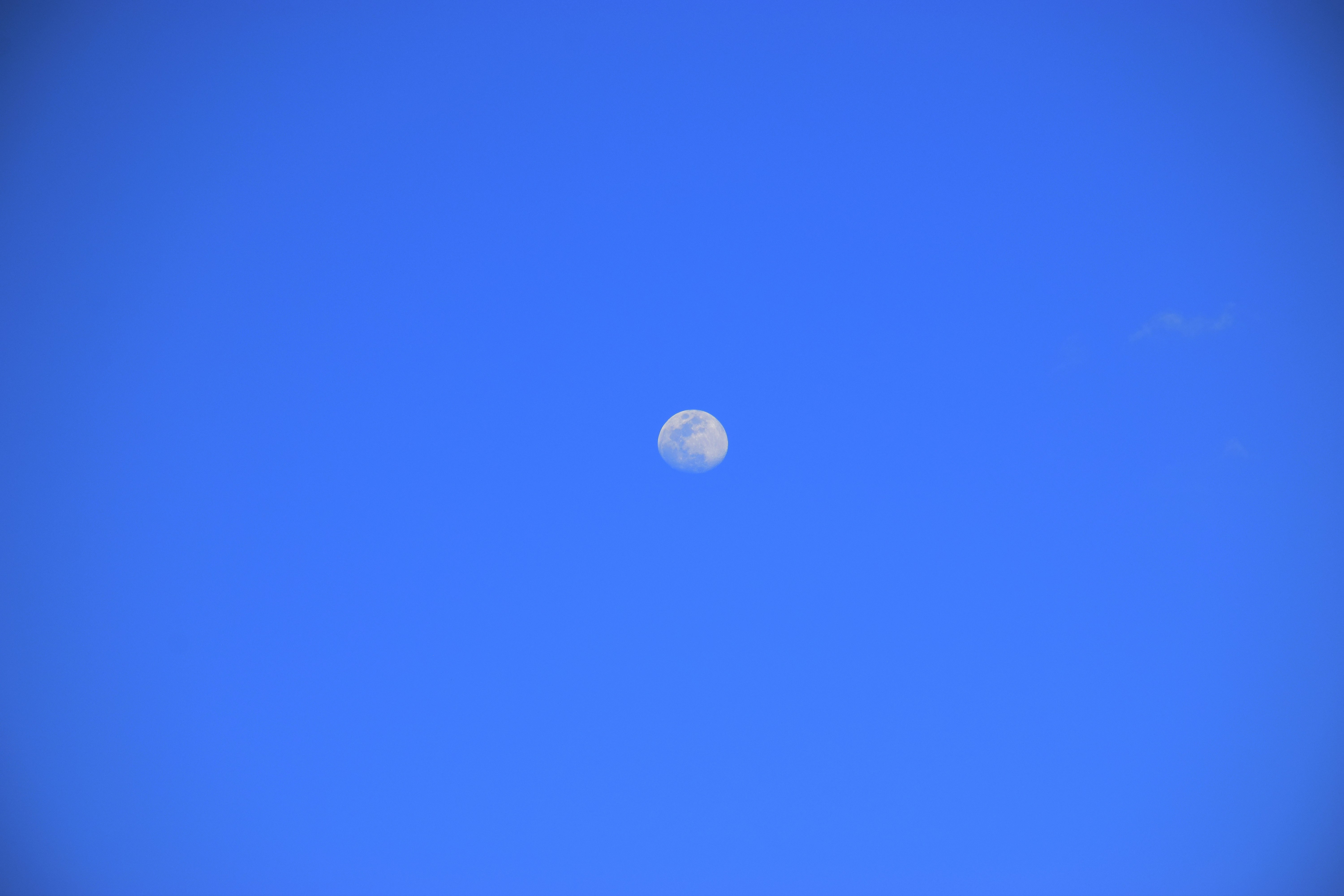 White moon photo – Free Blue Image on Unsplash