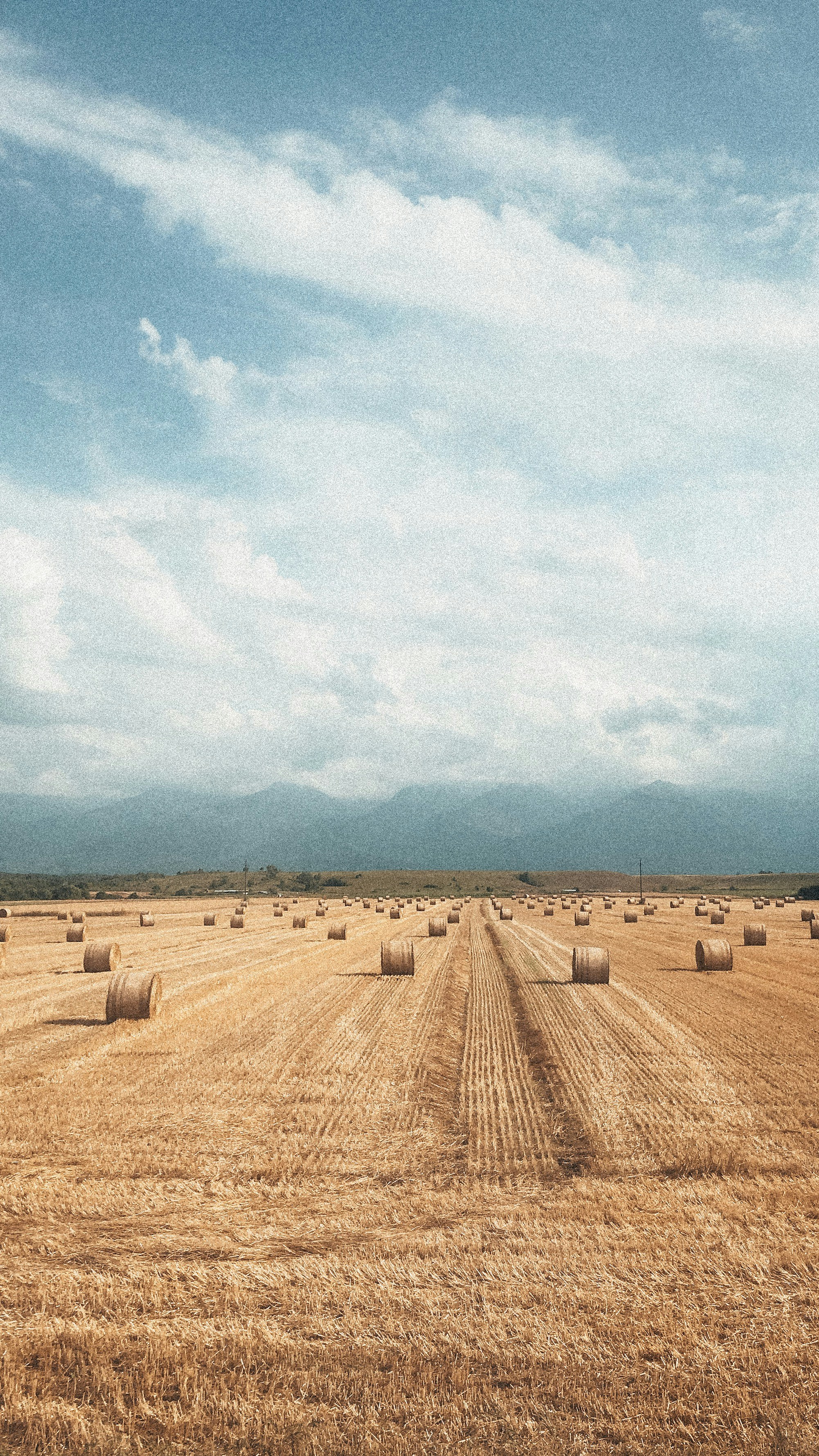 Hay bale photo – Free Blue Image on Unsplash