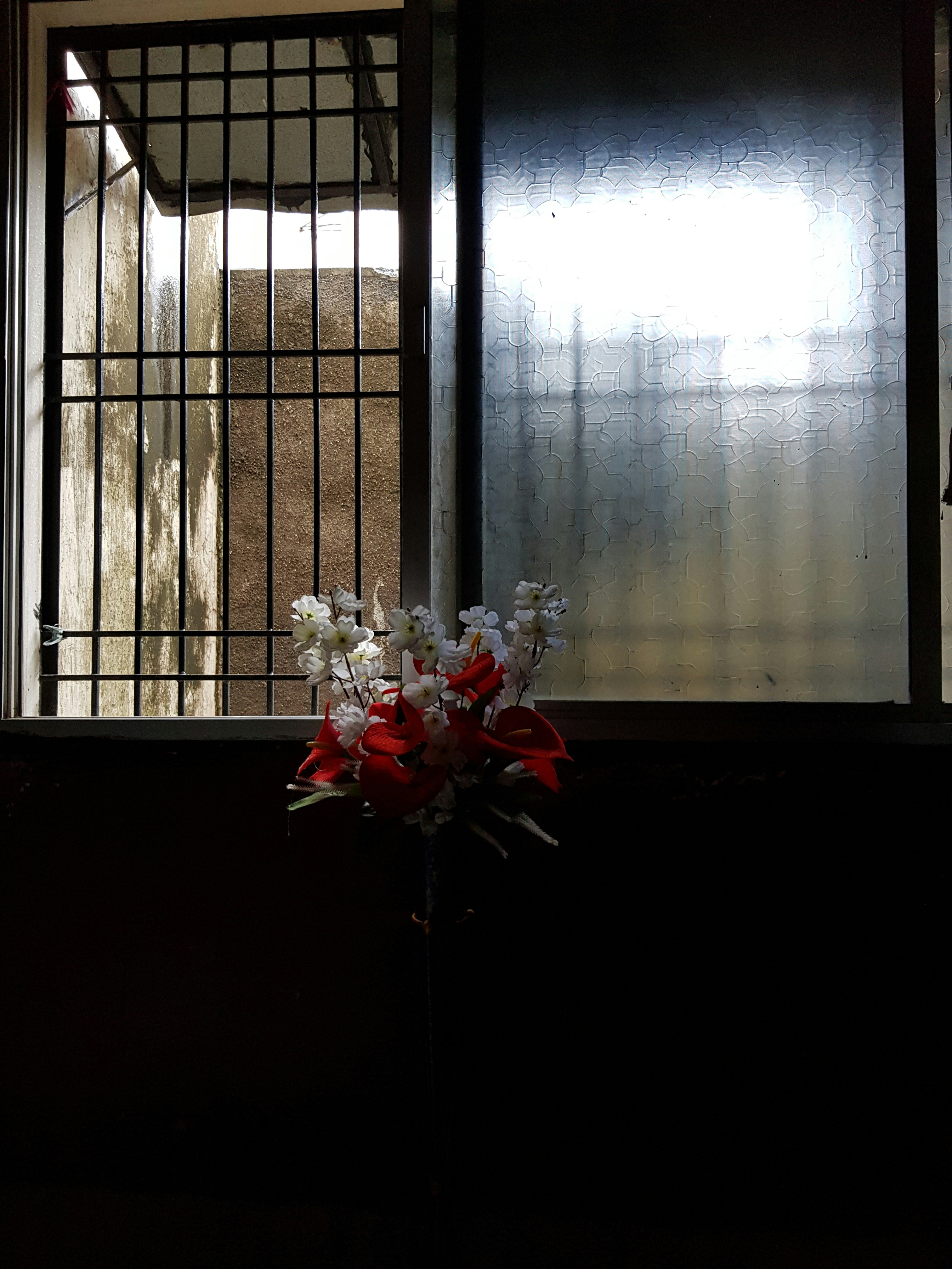 A vibrant bouquet of flowers contrasts with a partially obscured window, hinting at the outside world beyond the metal bars. The interplay of light and shadow creates a contemplative atmosphere.