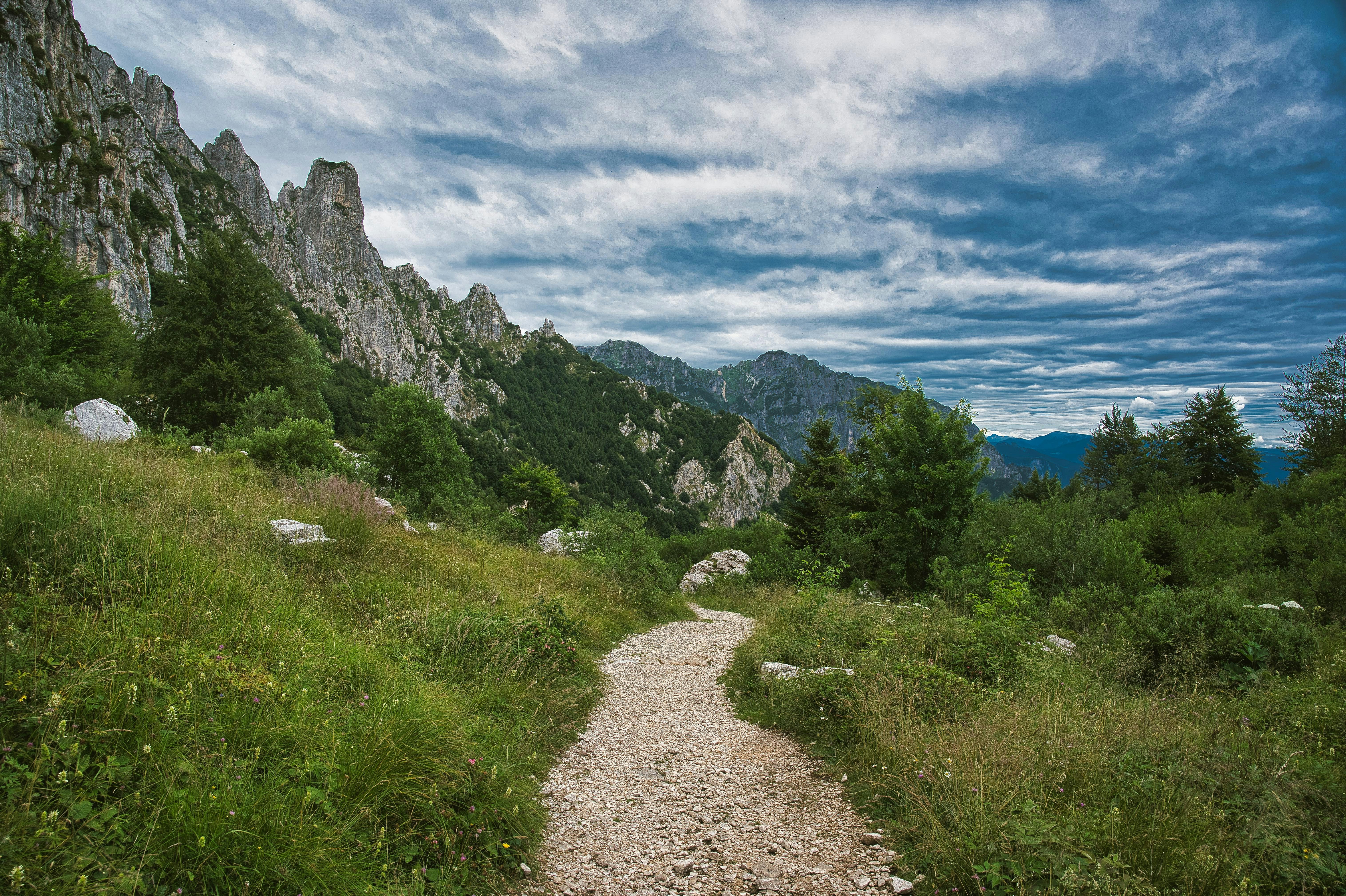 Difficult Path Pictures | Download Free Images on Unsplash