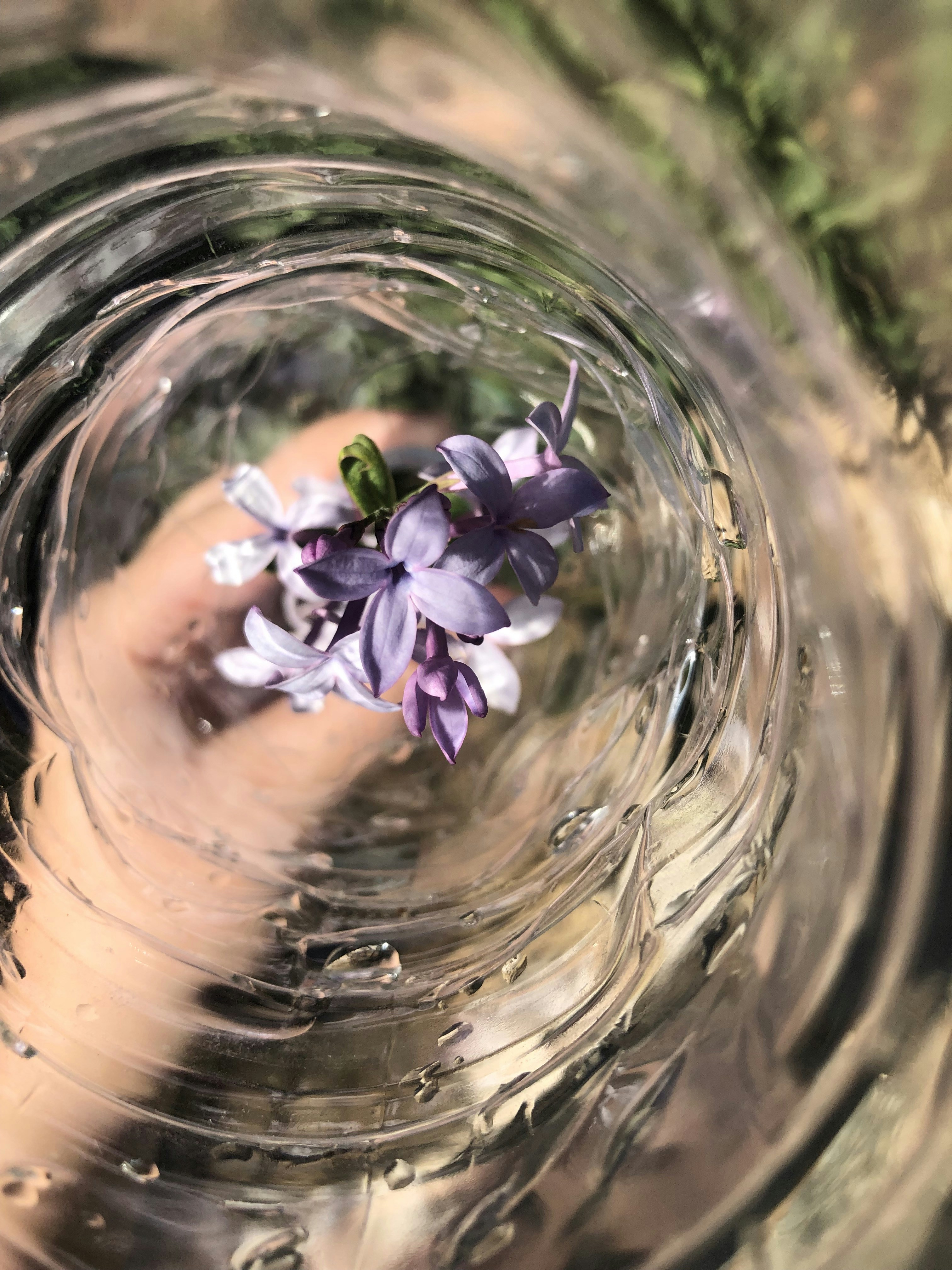 Purple flowers viewed through swirling glass, creating a distorted visual effect.
