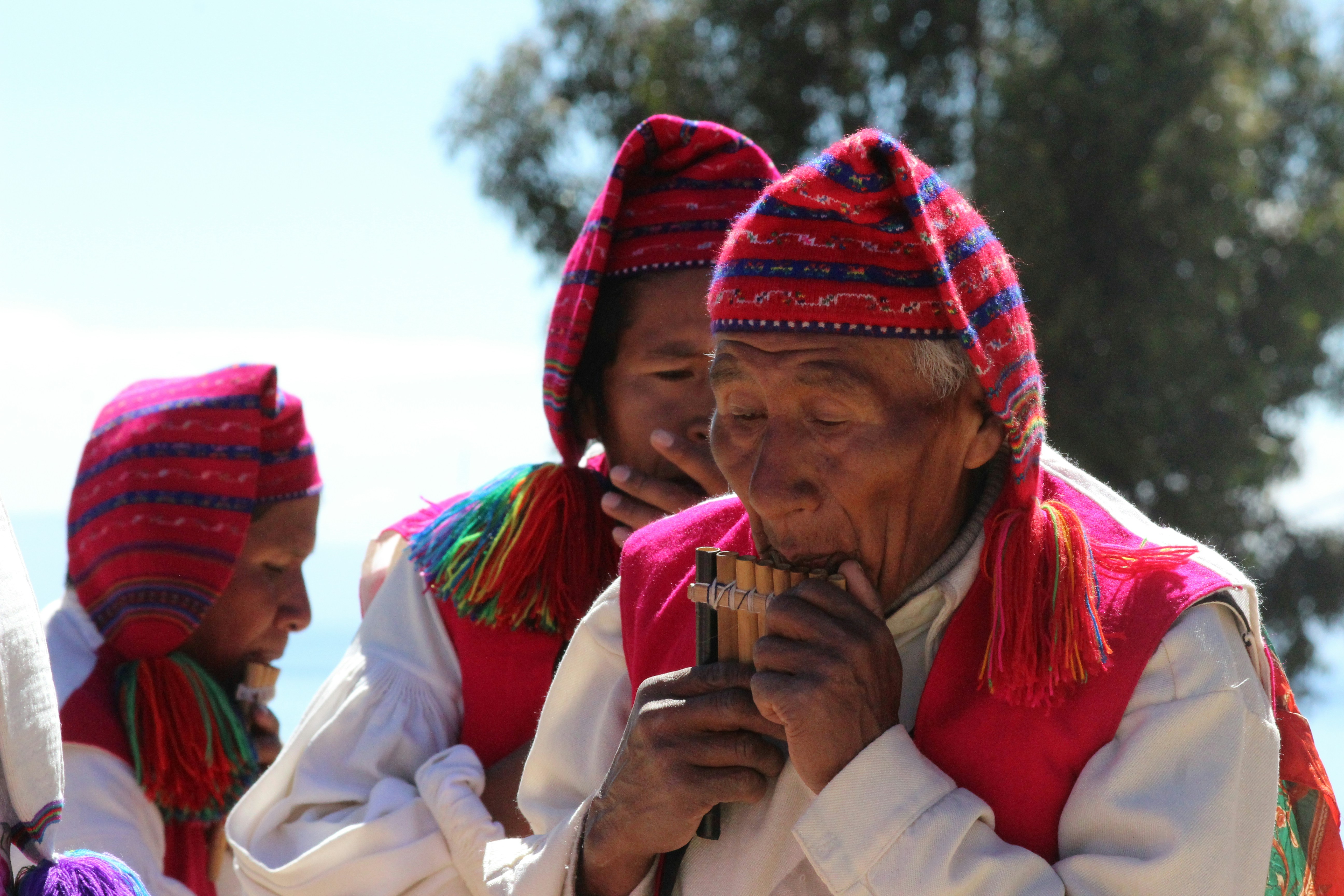 People playing musical instrument photo – Free Brown Image on Unsplash