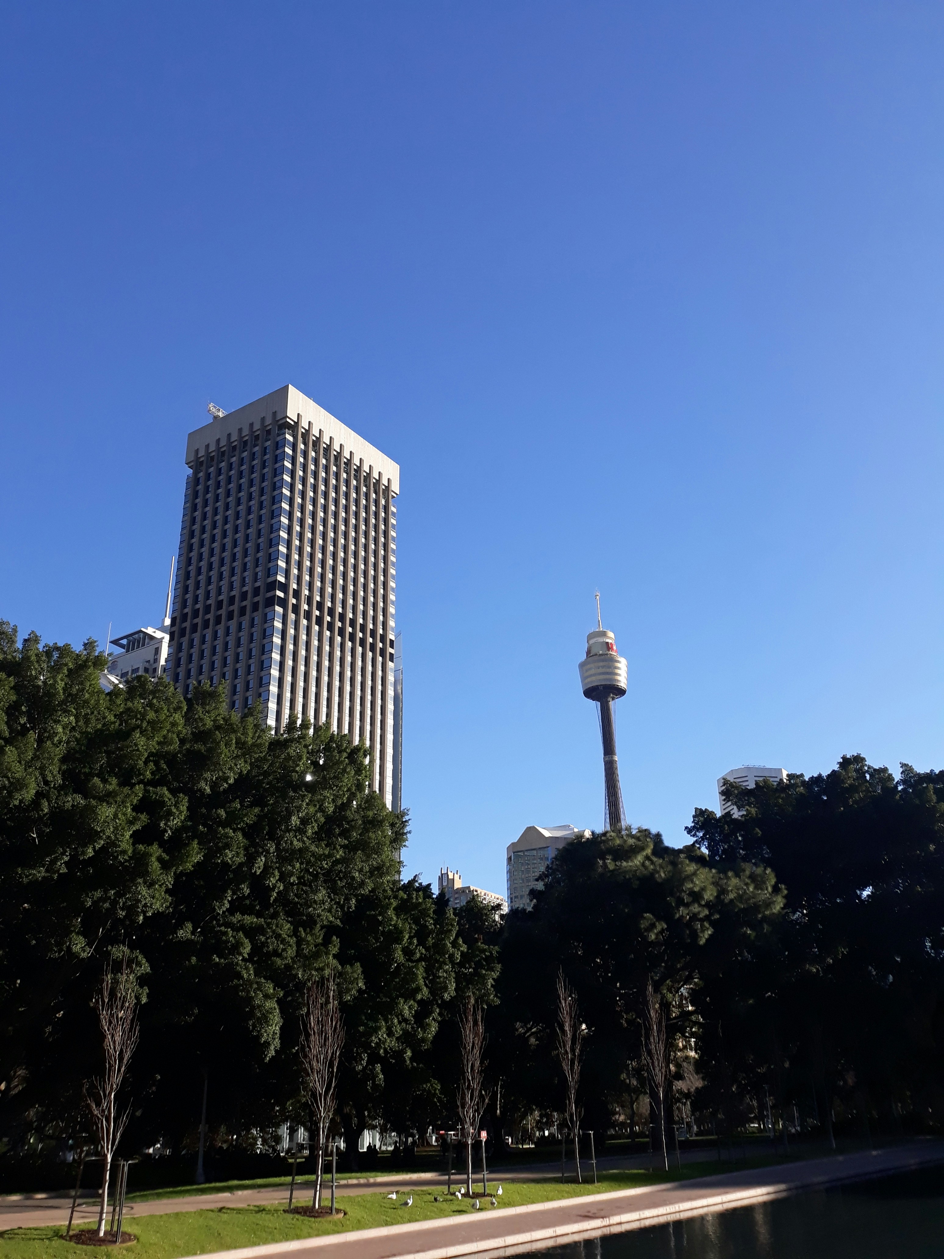 Trees near building during daytime photo – Free Blue Image on Unsplash