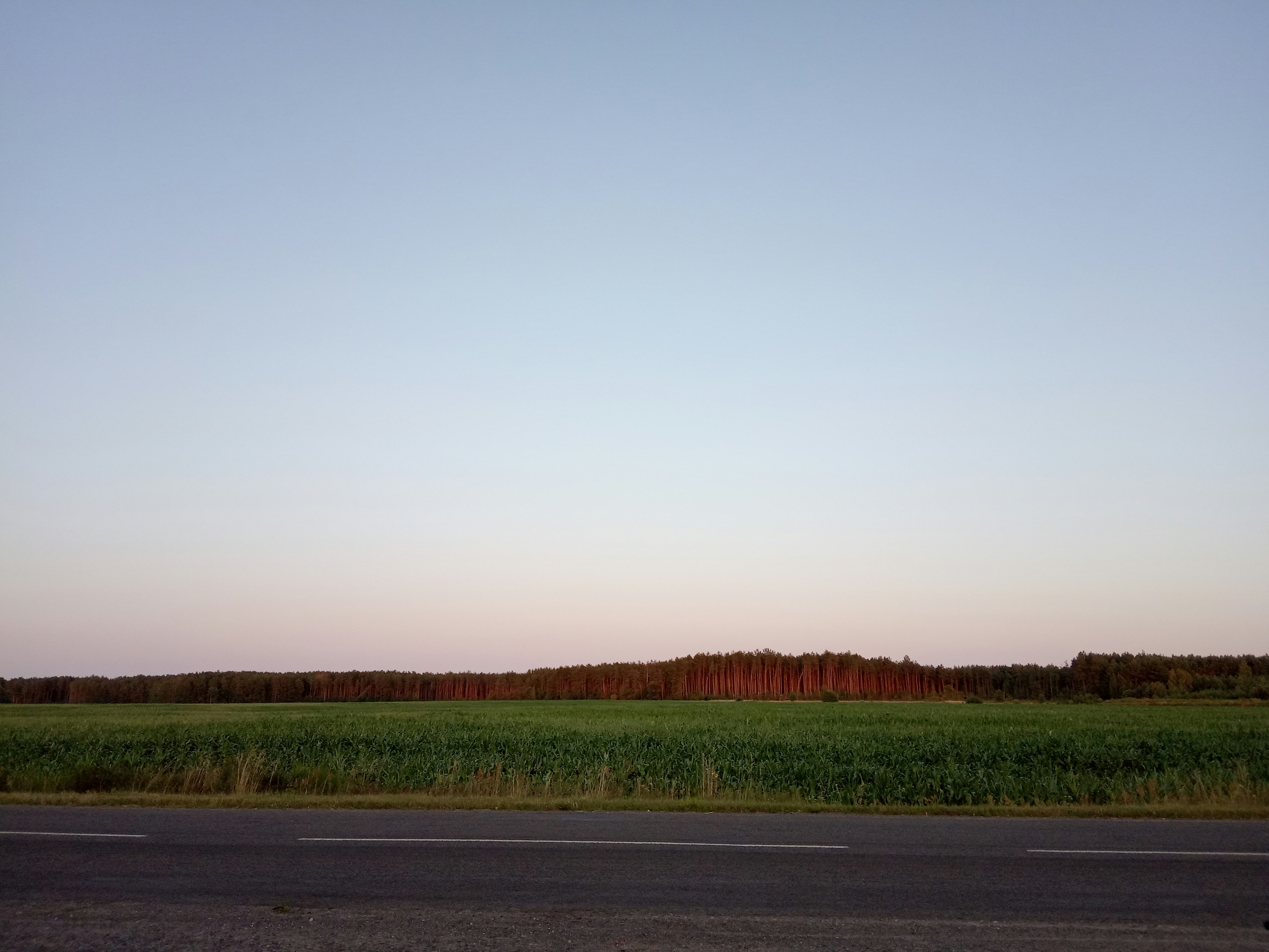 Vast green fields stretch under a pastel sky, with a distant line of trees catching the last light of day.