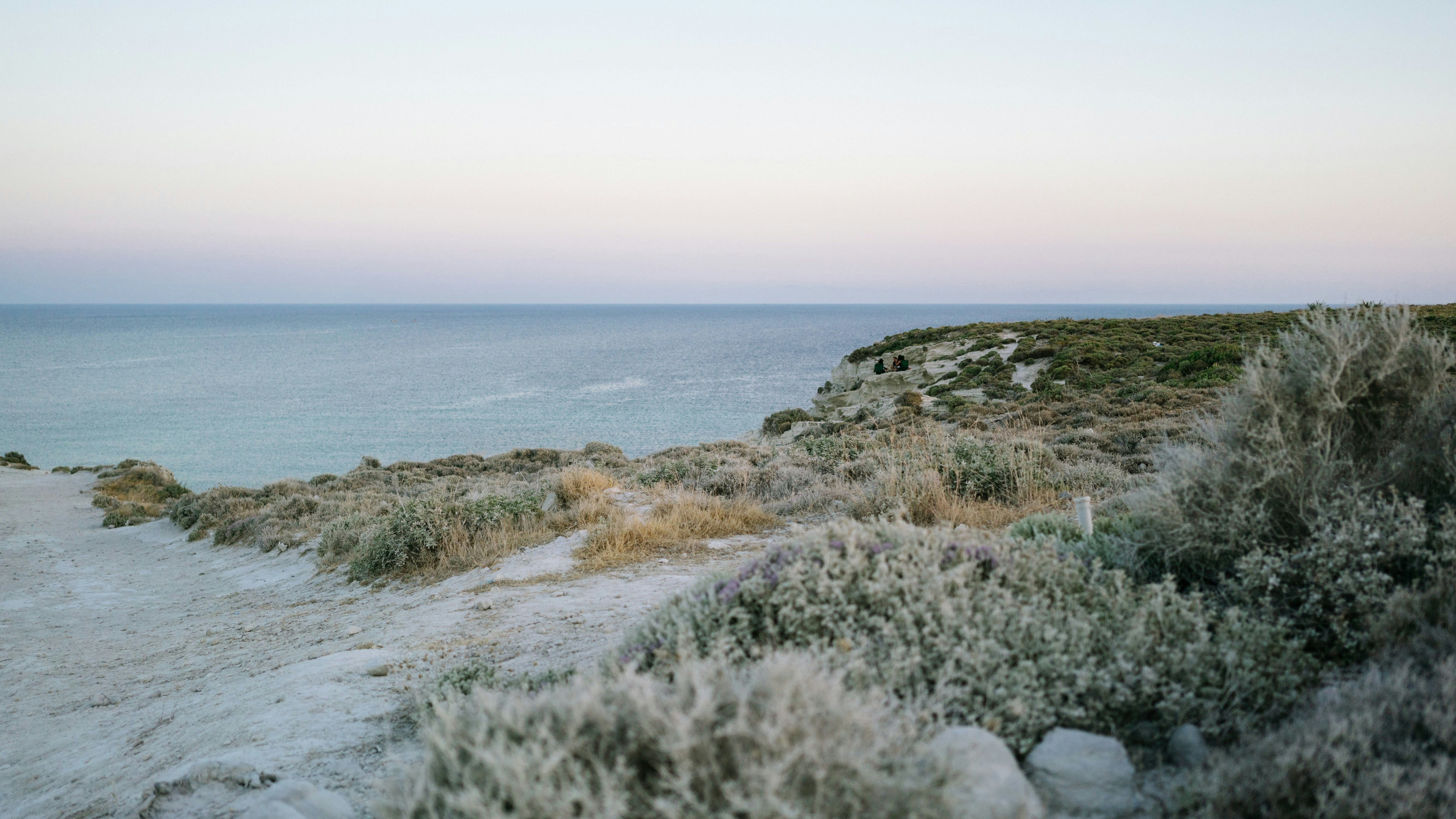 Soft pastel sky meets rugged coastline with delicate grasses in the foreground.