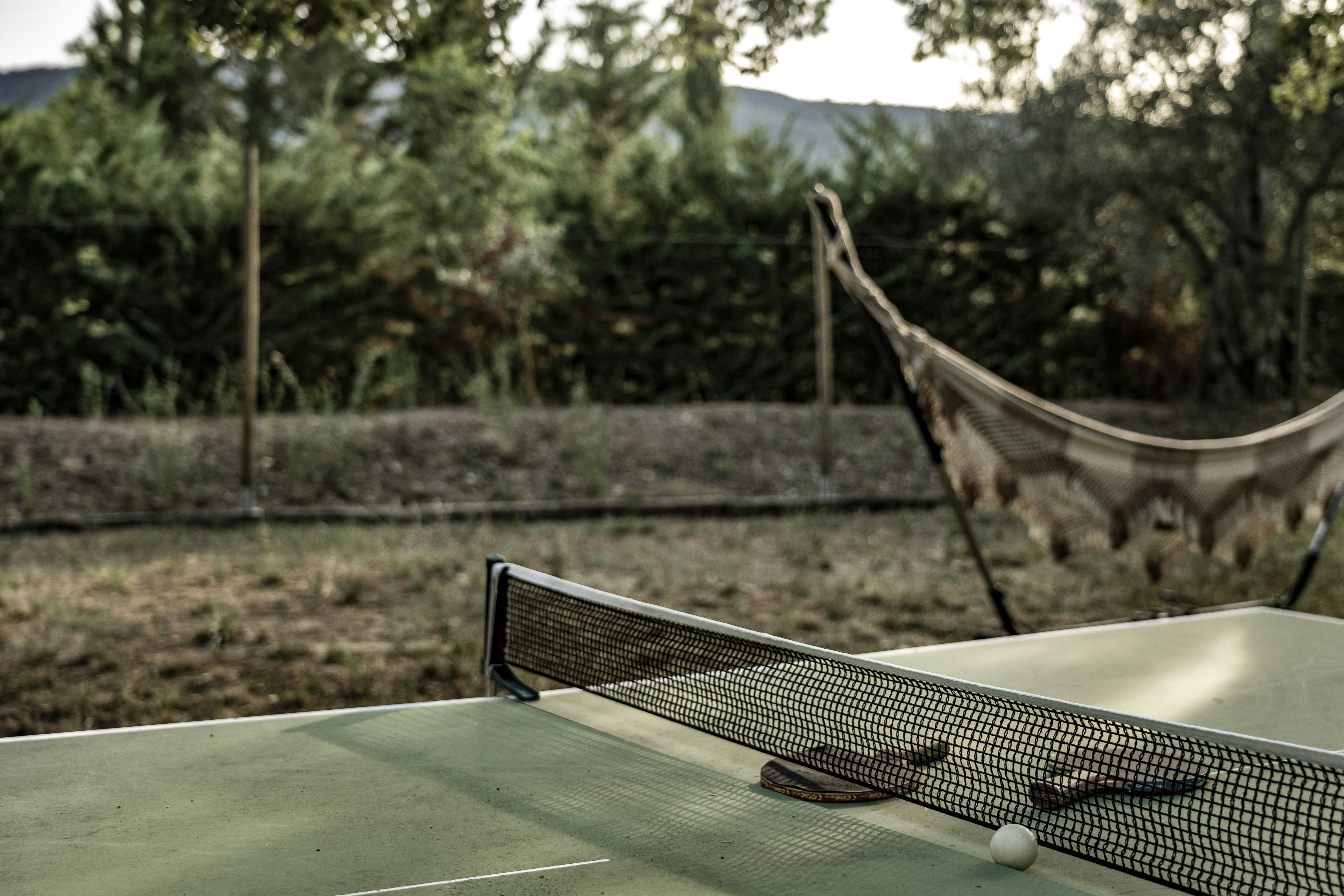 Backyard Ping-Pong in Soft Sunlight
