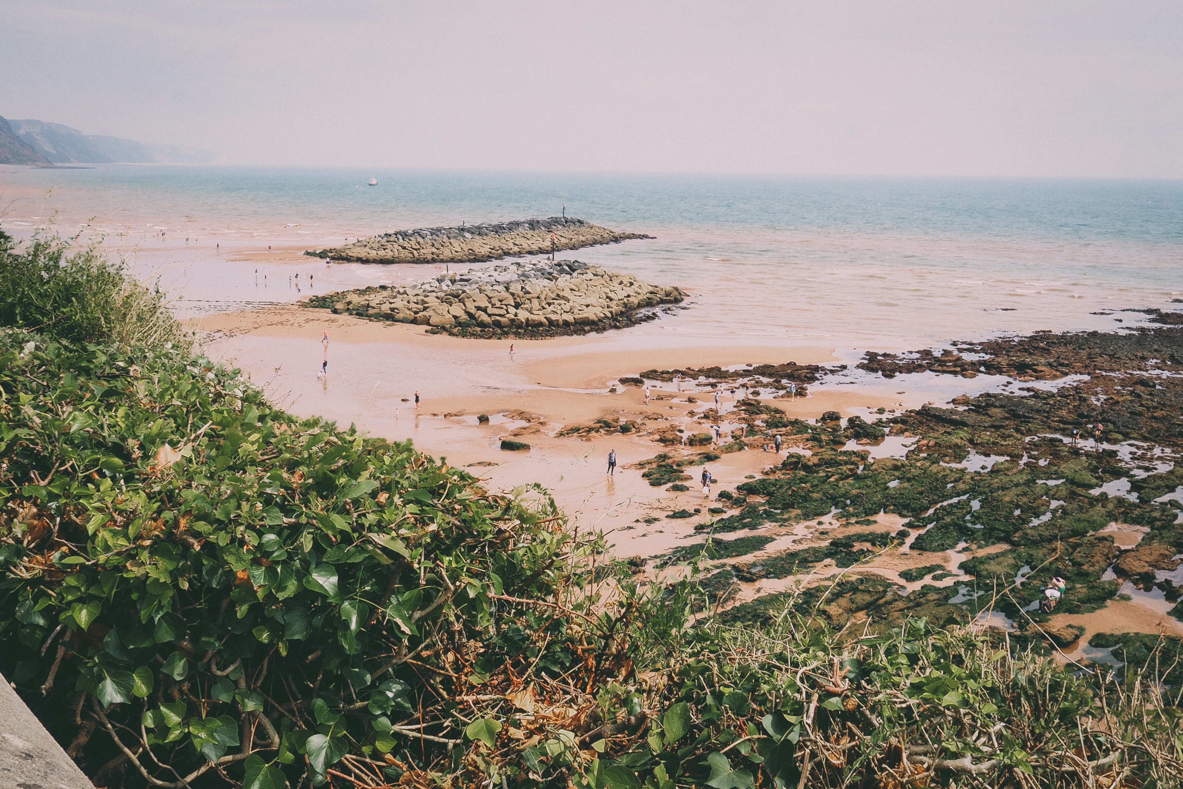 Rocky formations emerge from the sandy beach, surrounded by a vibrant green foliage and scattered beachgoers enjoying the serene coastal landscape.