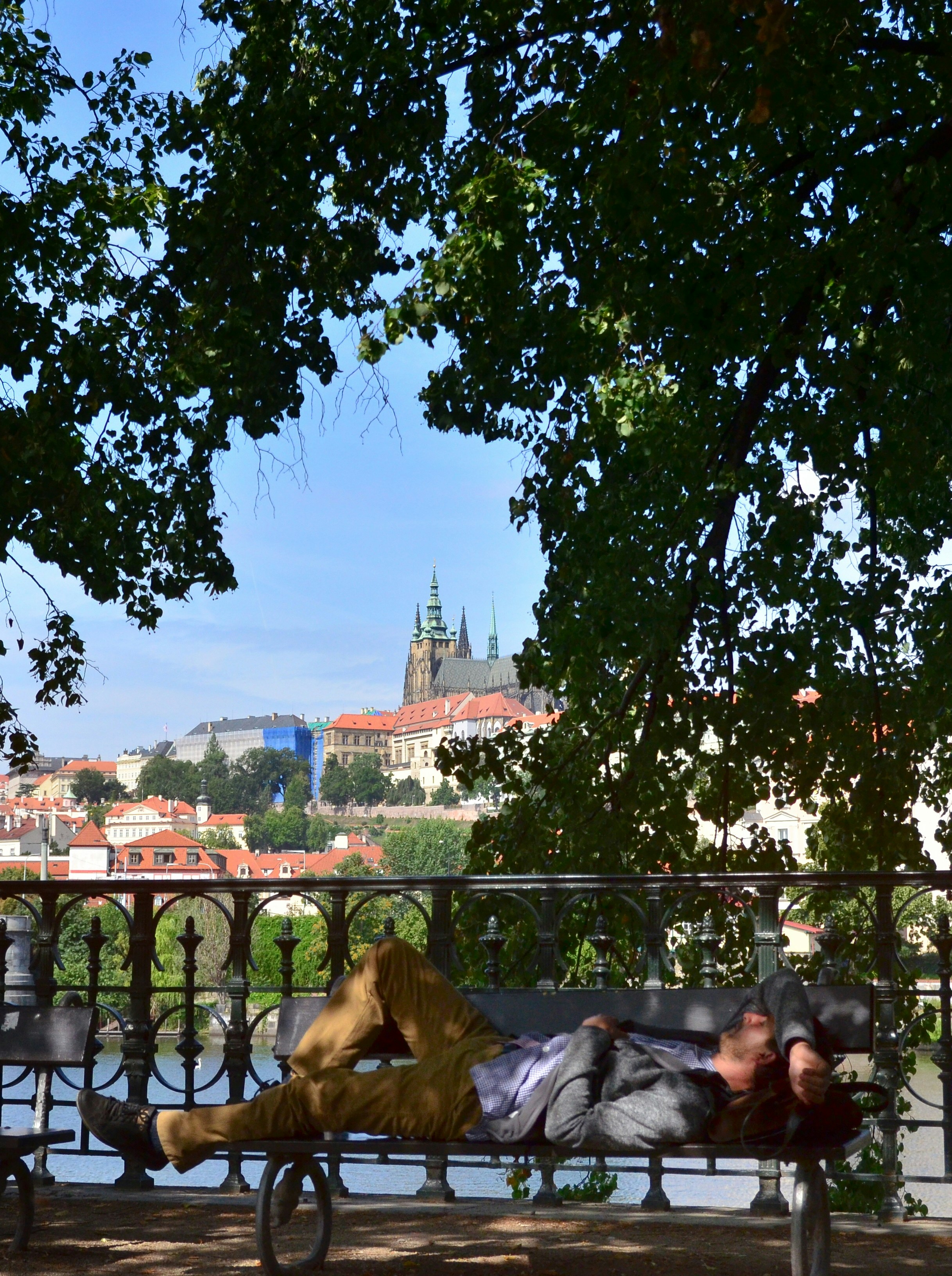 Riverside Reverie: A Reclining Figure Framed by Trees and a Historic City Skyline