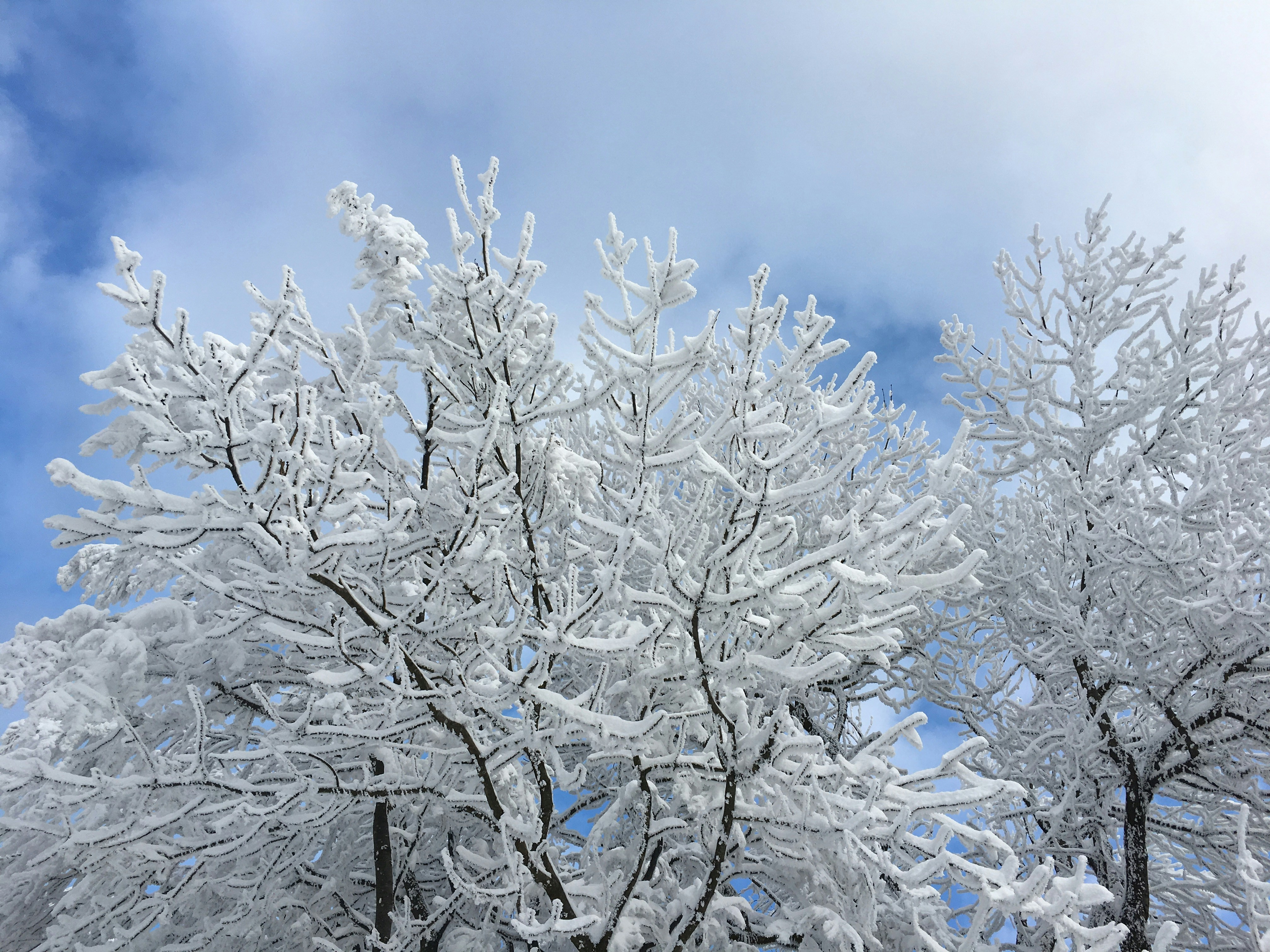 Définition de caque | Dictionnaire français