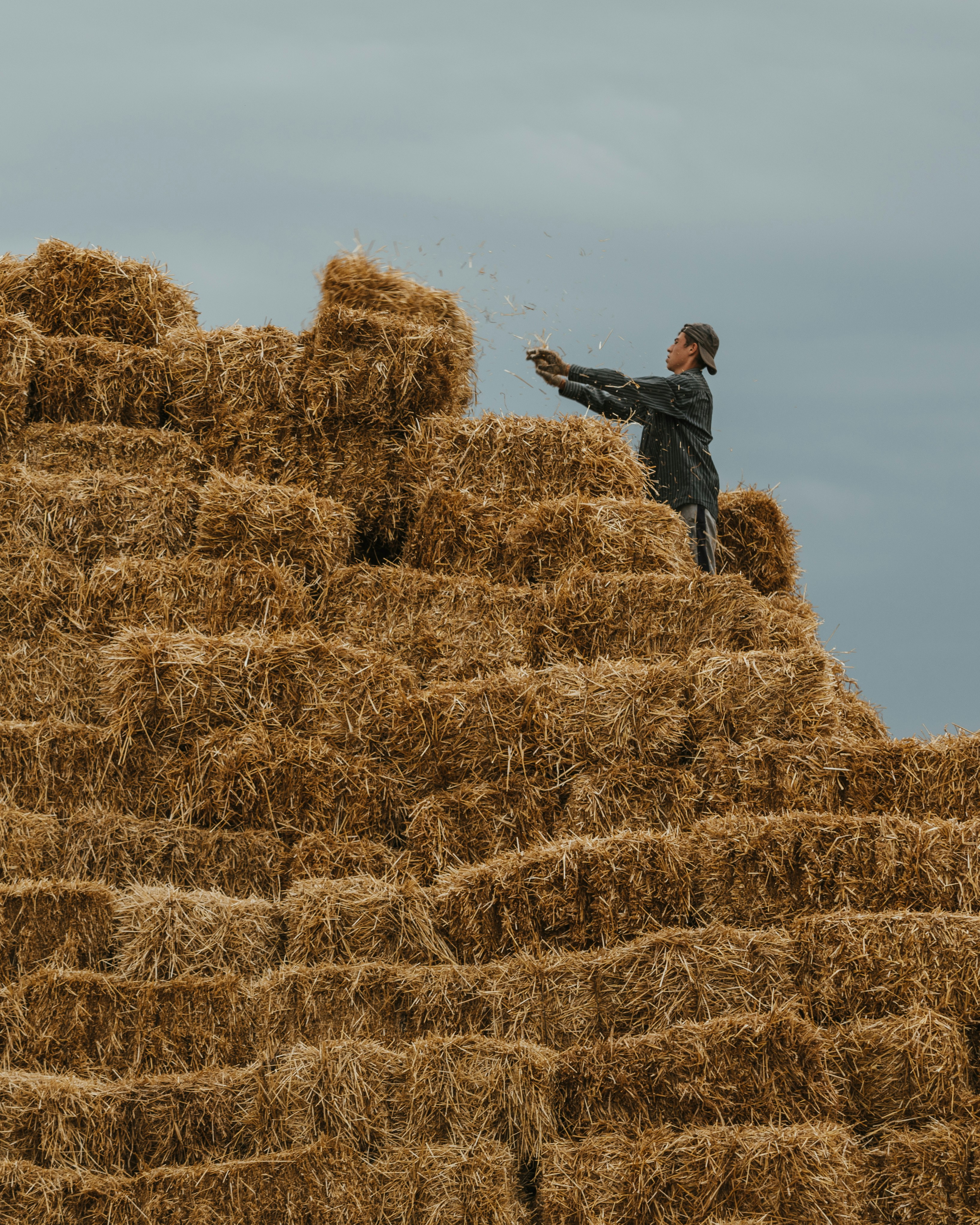 Countrylife | man in grey jacket on hay