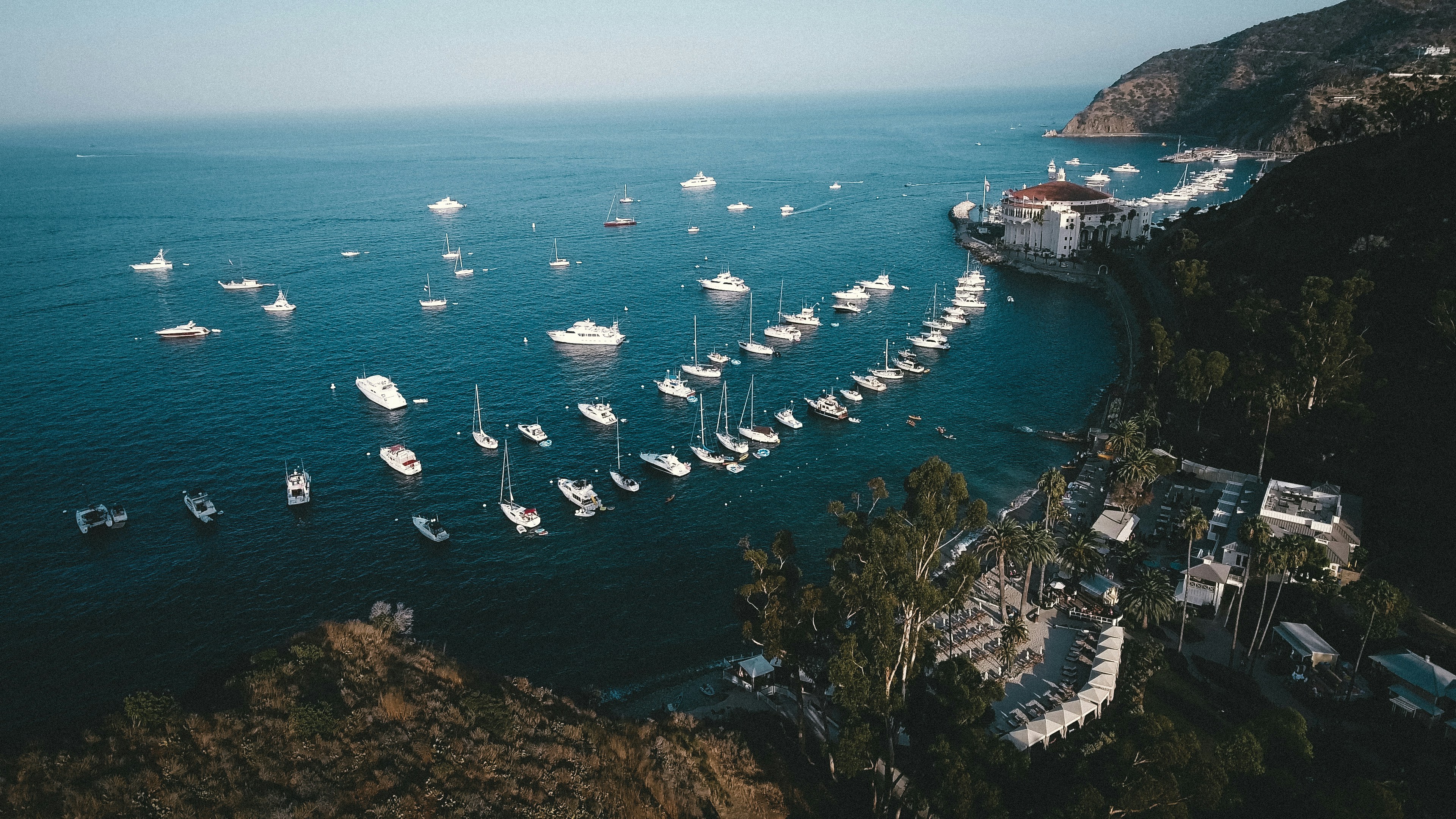 Aerial view of boats moored along Catalina Island's coastline with lush greenery and coastal buildings.