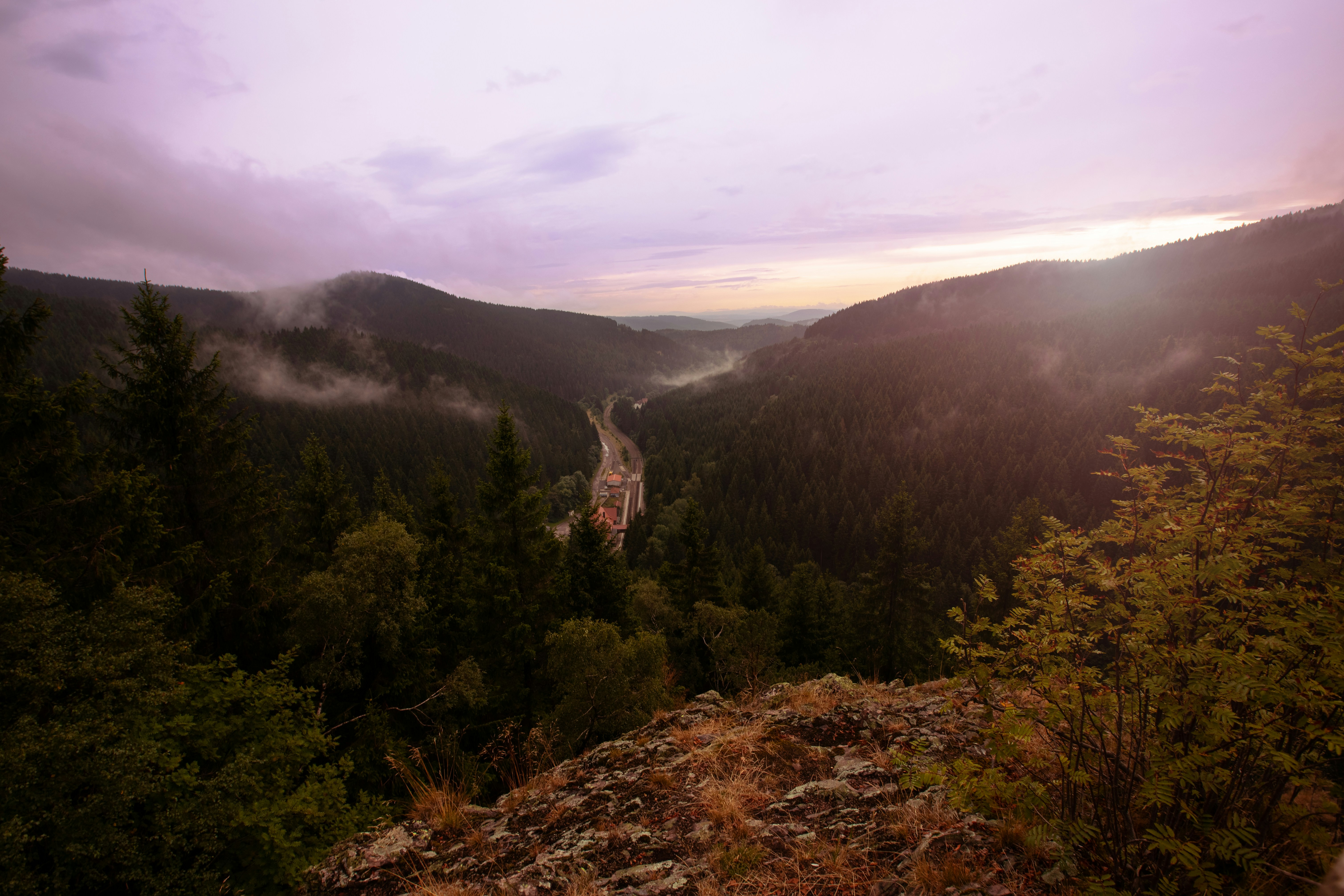 Valley Road Unwinding Through Mist and Pines
