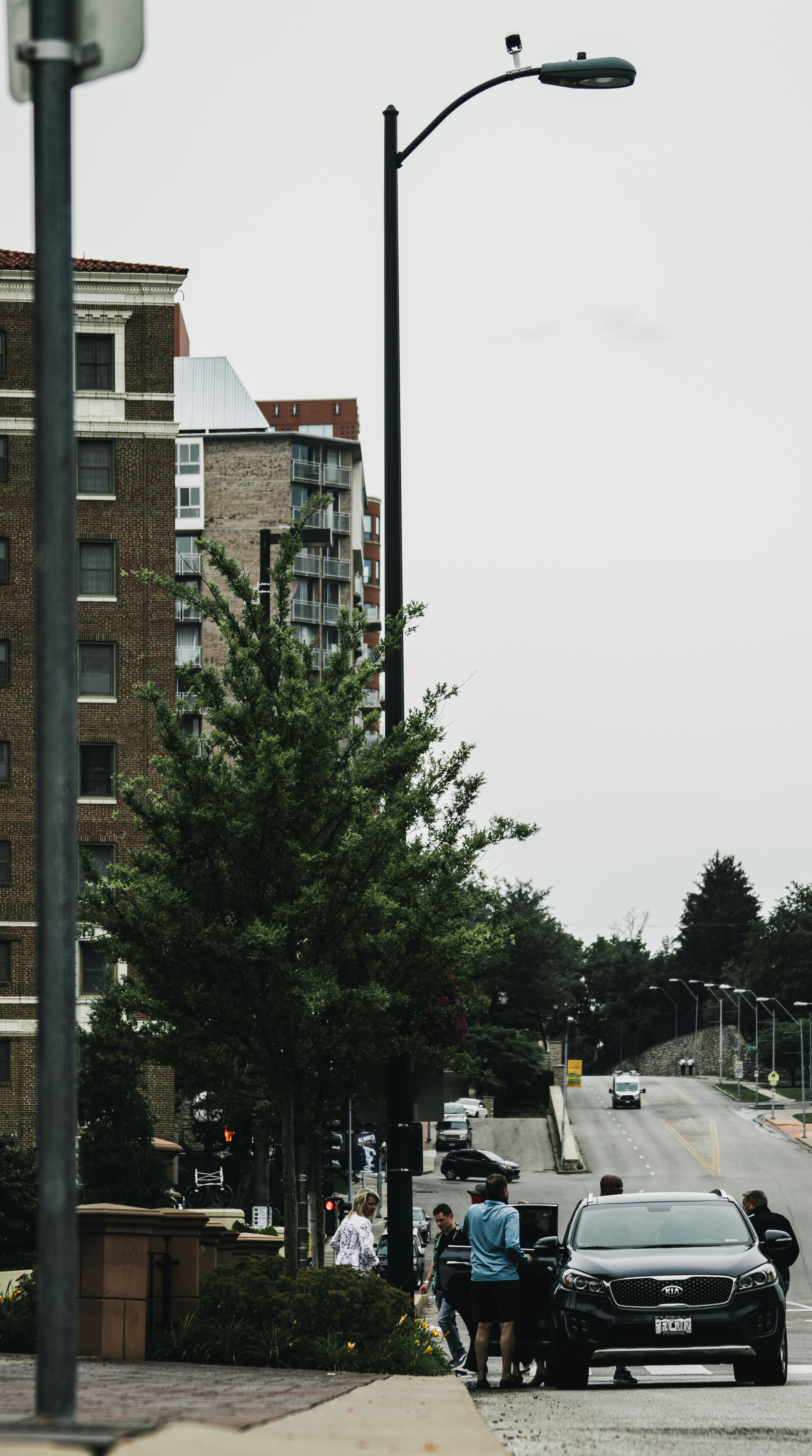 Foto Árbol verde junto al poste negro de alumbrado público – Imagen ...