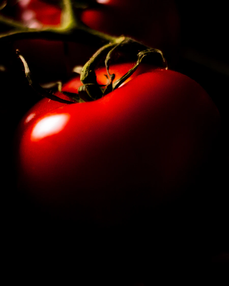 Close-up of a ripe red tomato with green vine stems, lit by a strong highlight against a dark background. The frame is tightly cropped and moody.