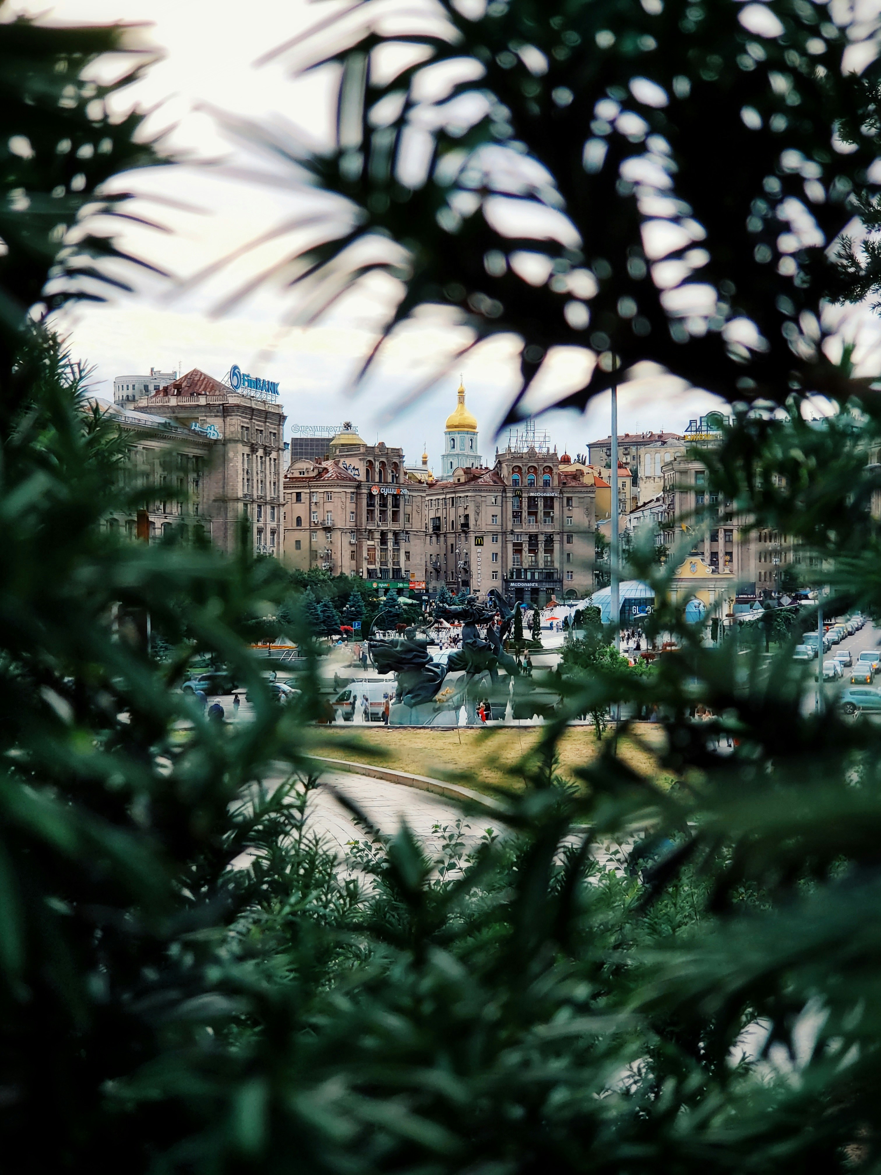 Golden Dome Anchors a Cityscape Framed by Foliage