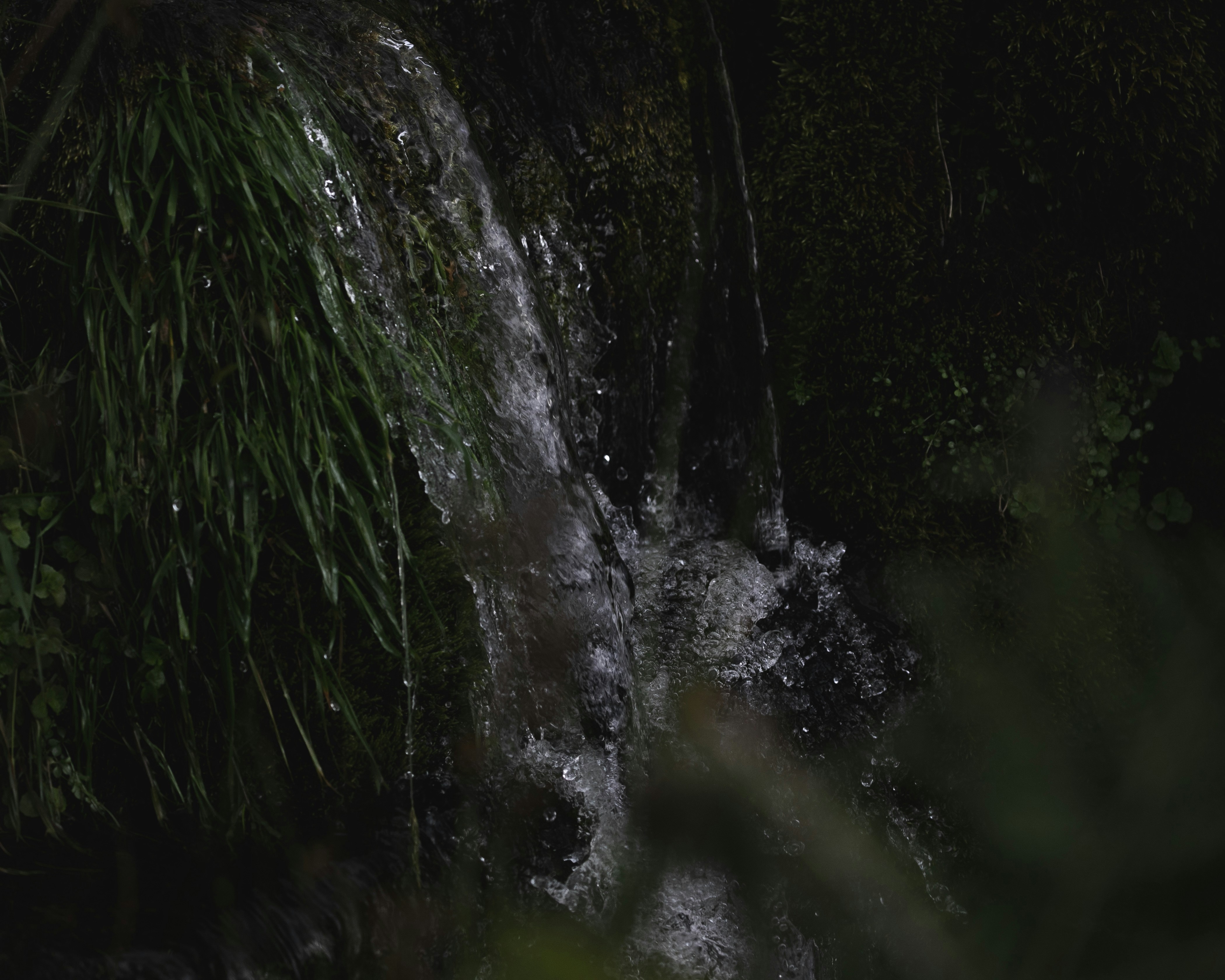 Gentle stream cascading over moss-covered rocks, surrounded by lush greenery in a serene forest setting.