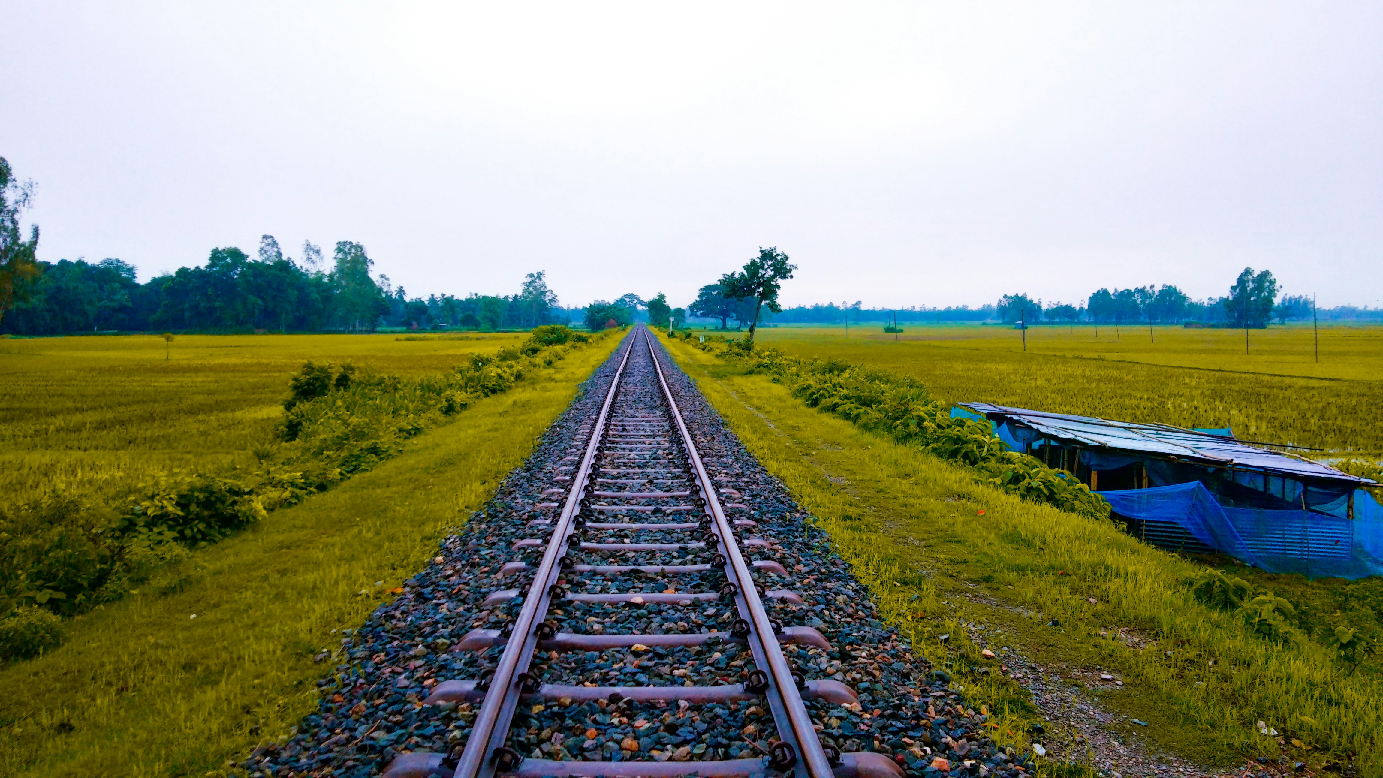 Converging Rails Across a Quiet Horizon