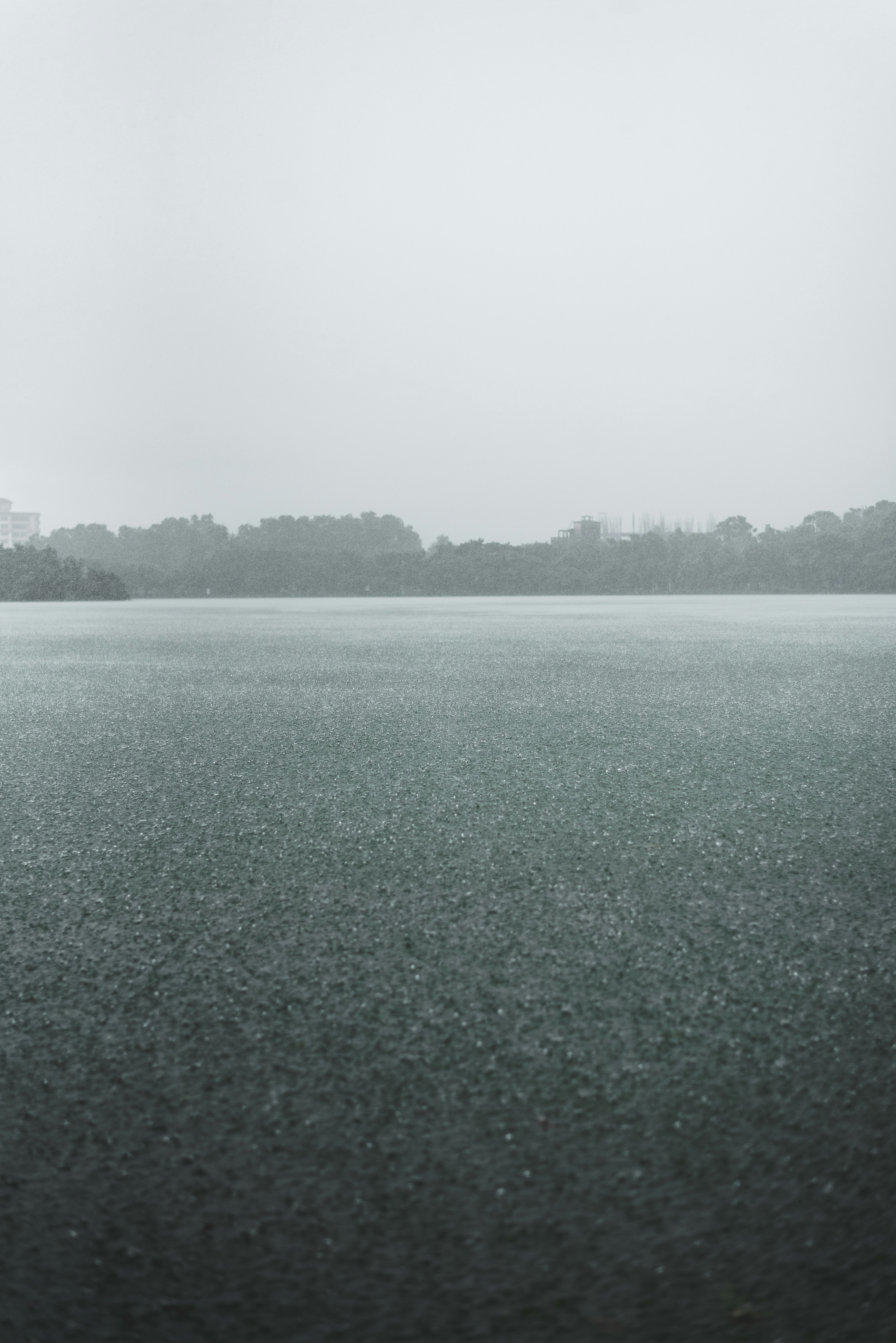 Whispers of a Rainy Day