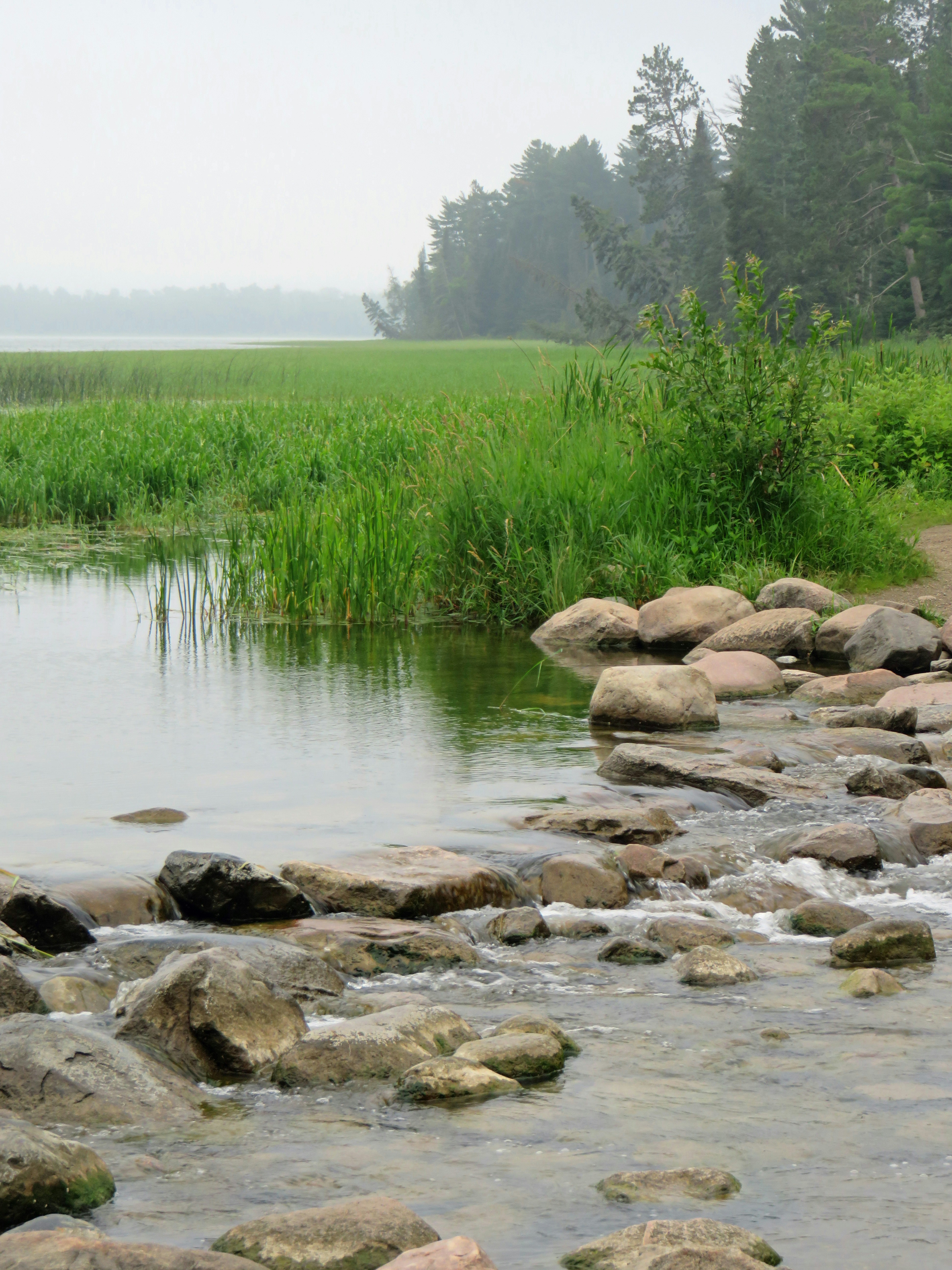 Serene lakeside view featuring lush greenery and smooth stones along the water's edge, with a foggy backdrop hinting at the mysteries beyond. 