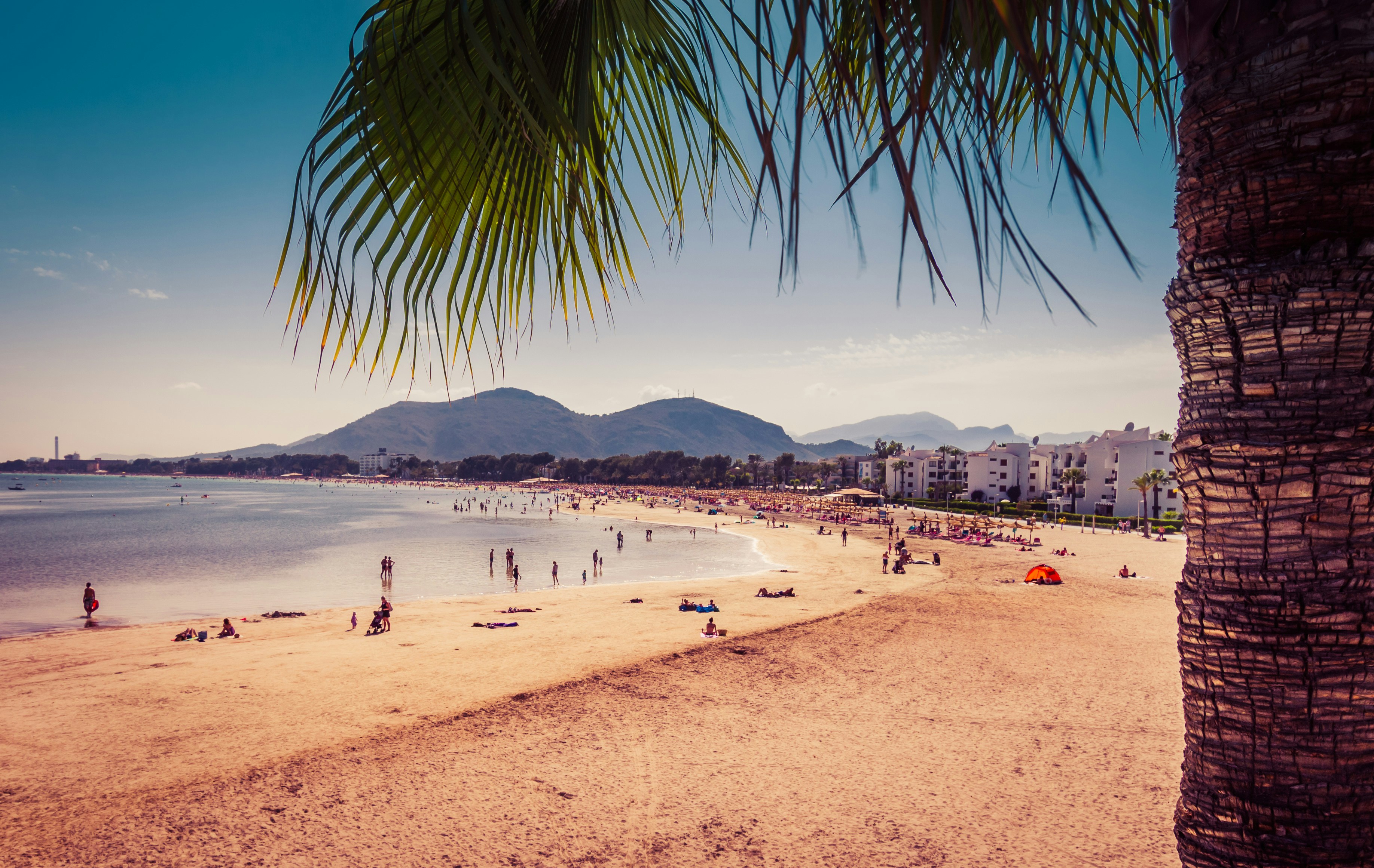 Golden sandy beach with sunbathers and distant mountains under a clear blue sky, framed by a palm tree on the right.