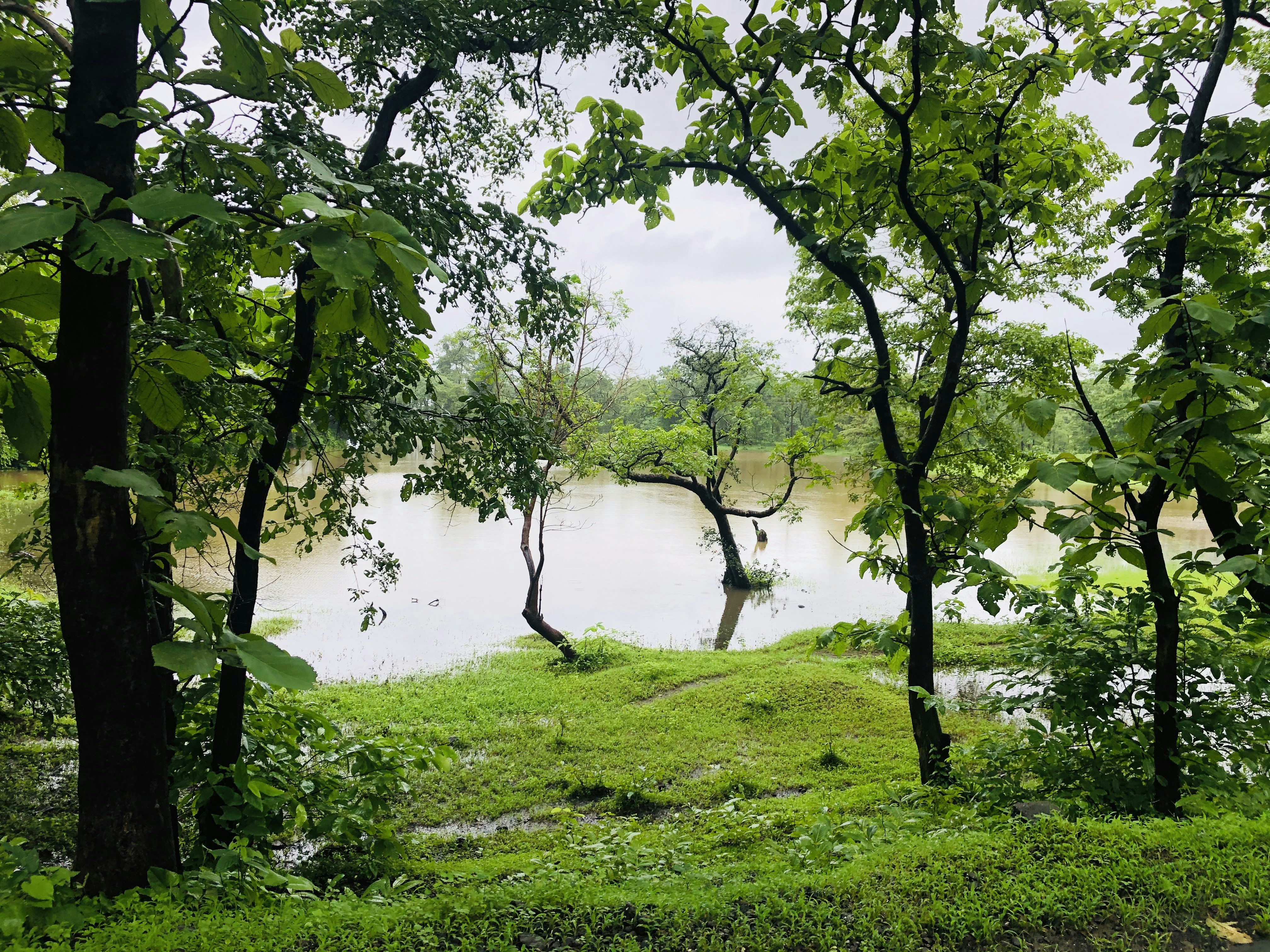 Nandkishor Hagote (@nkishore101) | Unsplash Photo Community