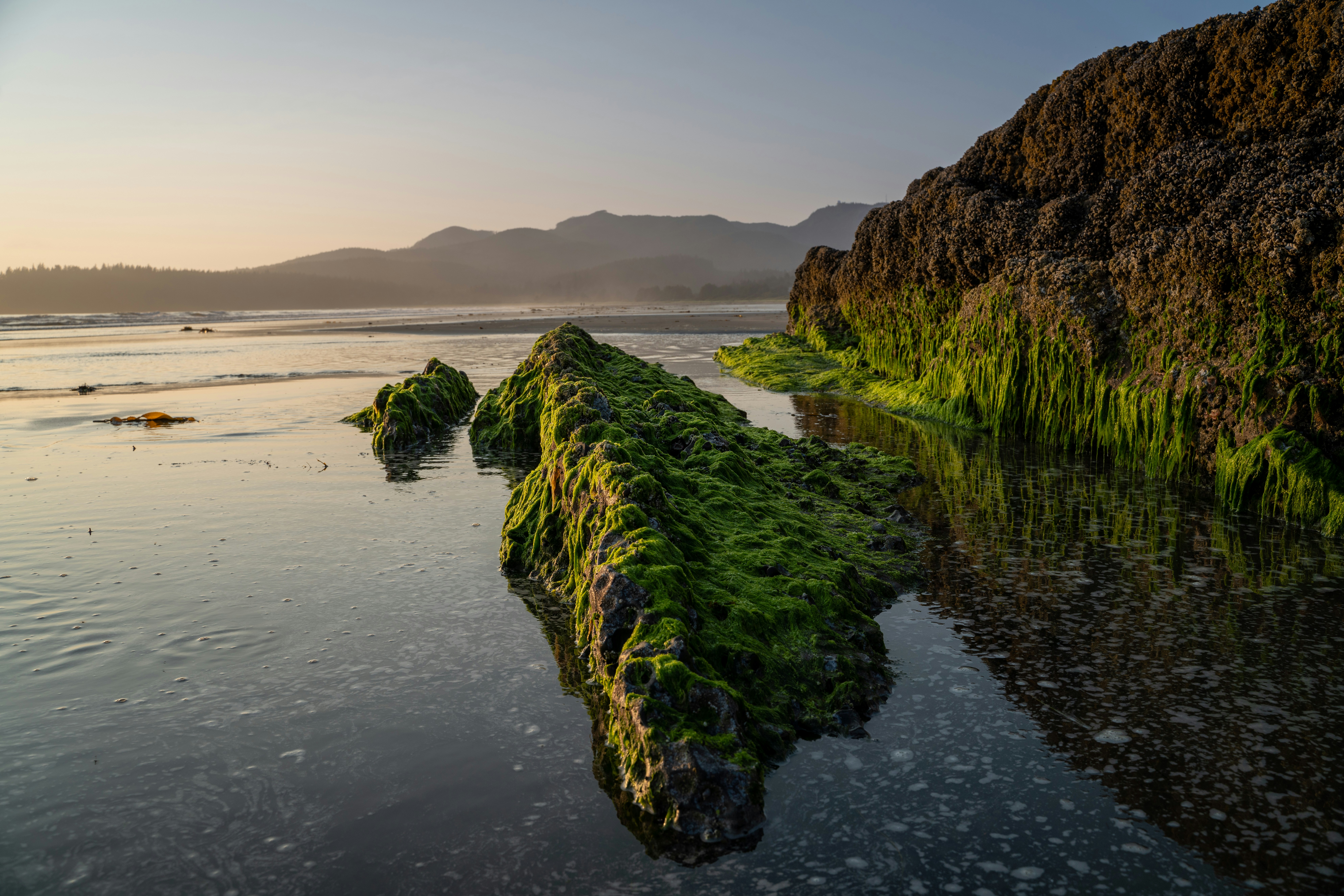 Green Sea-Rock Path at Dusk