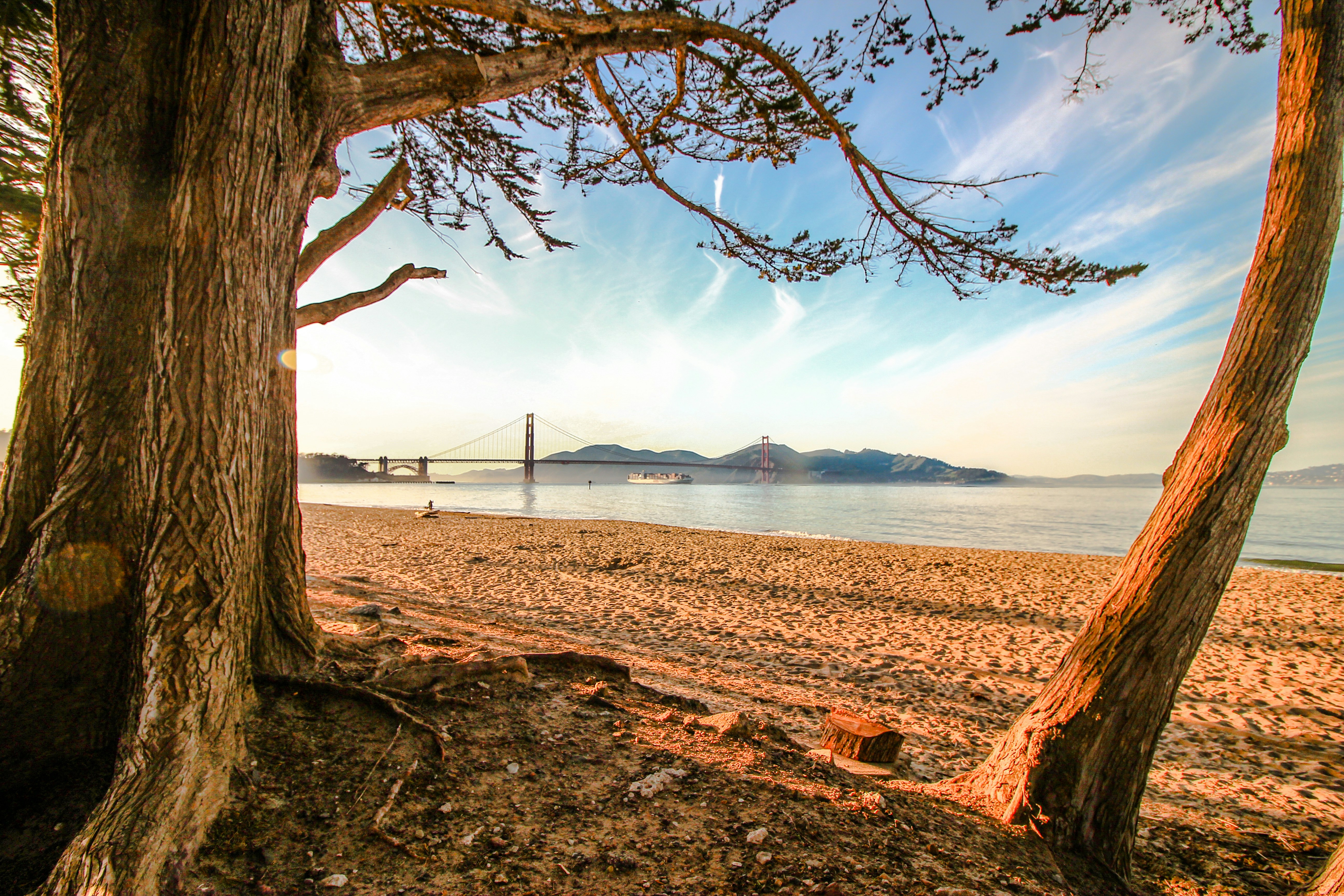 Golden Gate Bridge framed by trees at a serene beach during sunset.