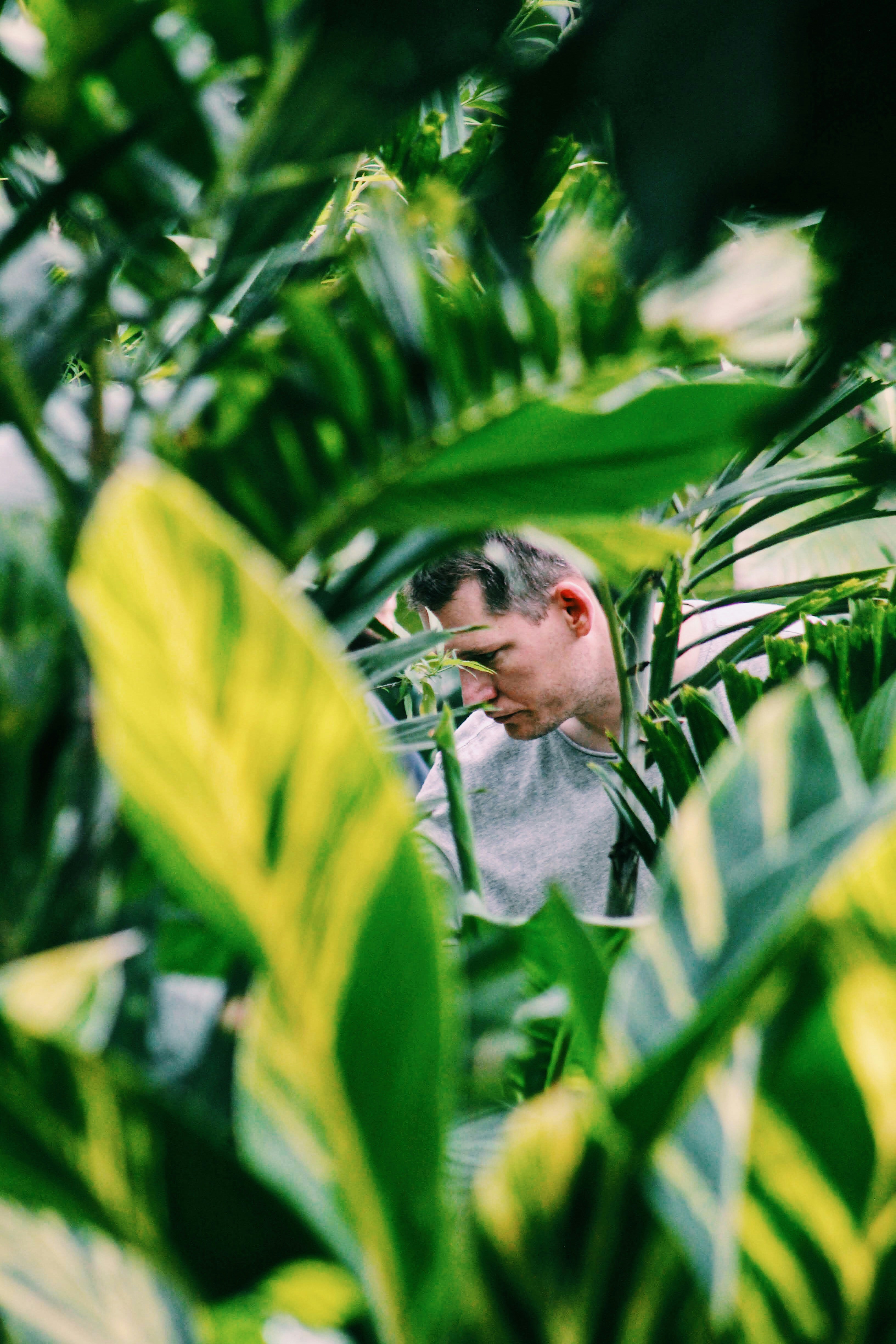 Face in the Fronds: A Quiet Portrait Through Jungle Green