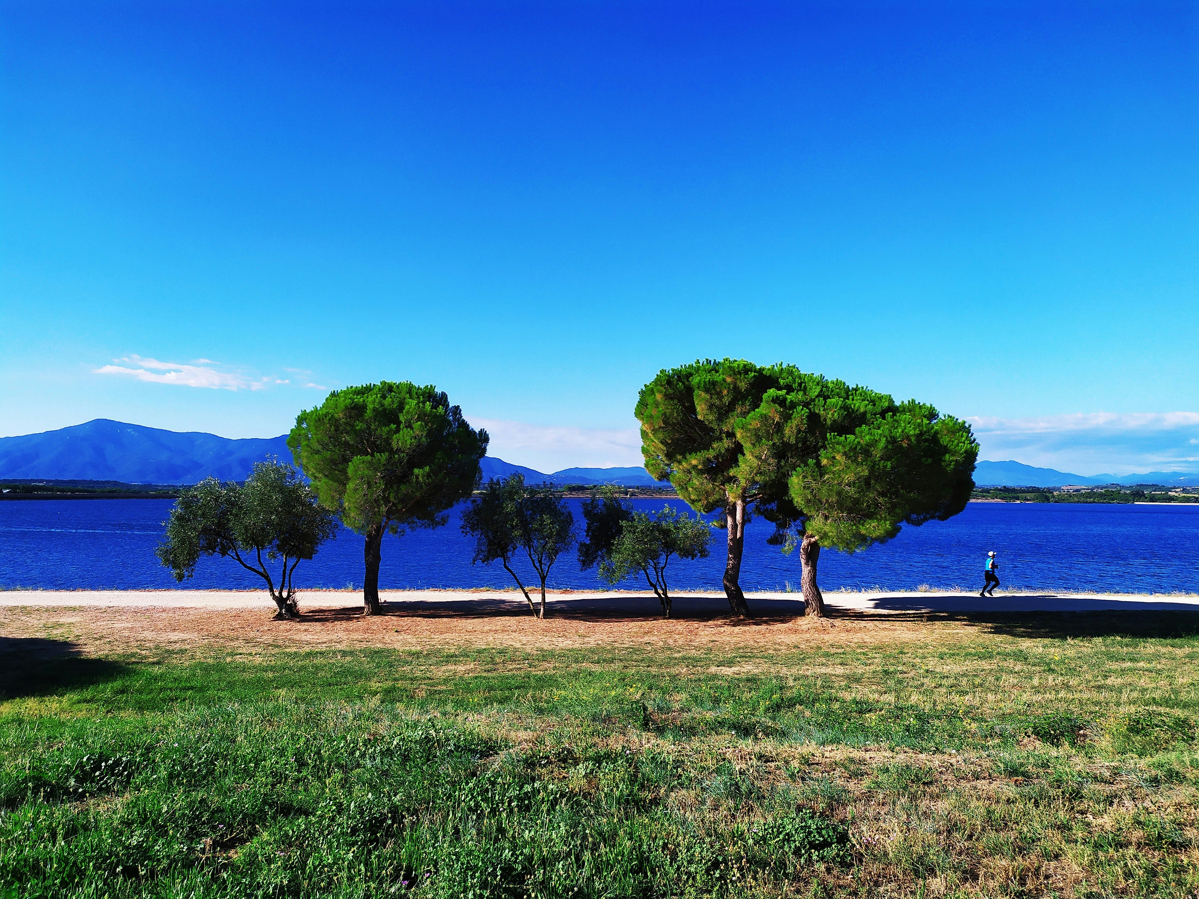 Árboles cerca del cuerpo de agua foto – Imagen de 66180 Villeneuve-de ...