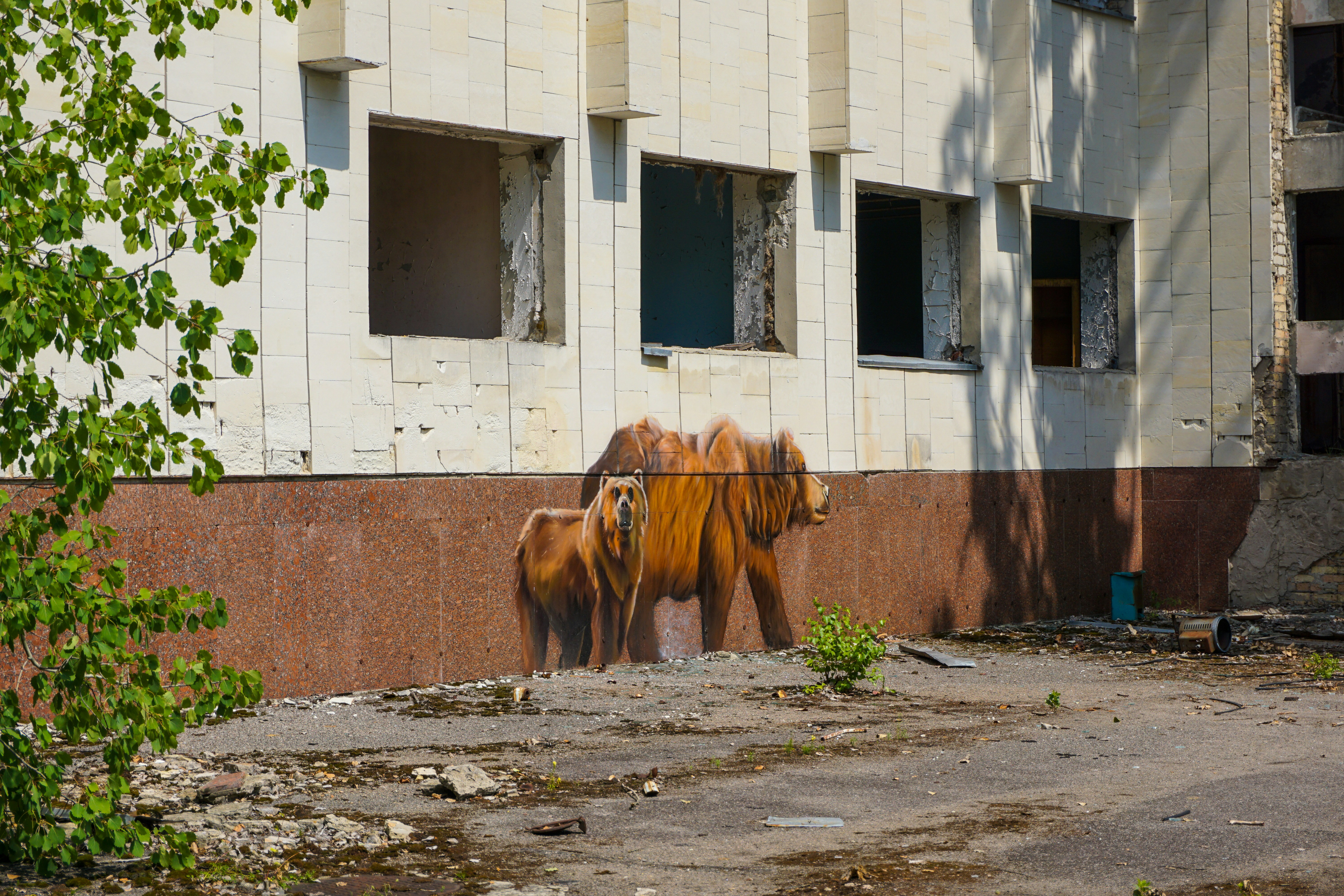 Two Horses on a Crumbling Facade