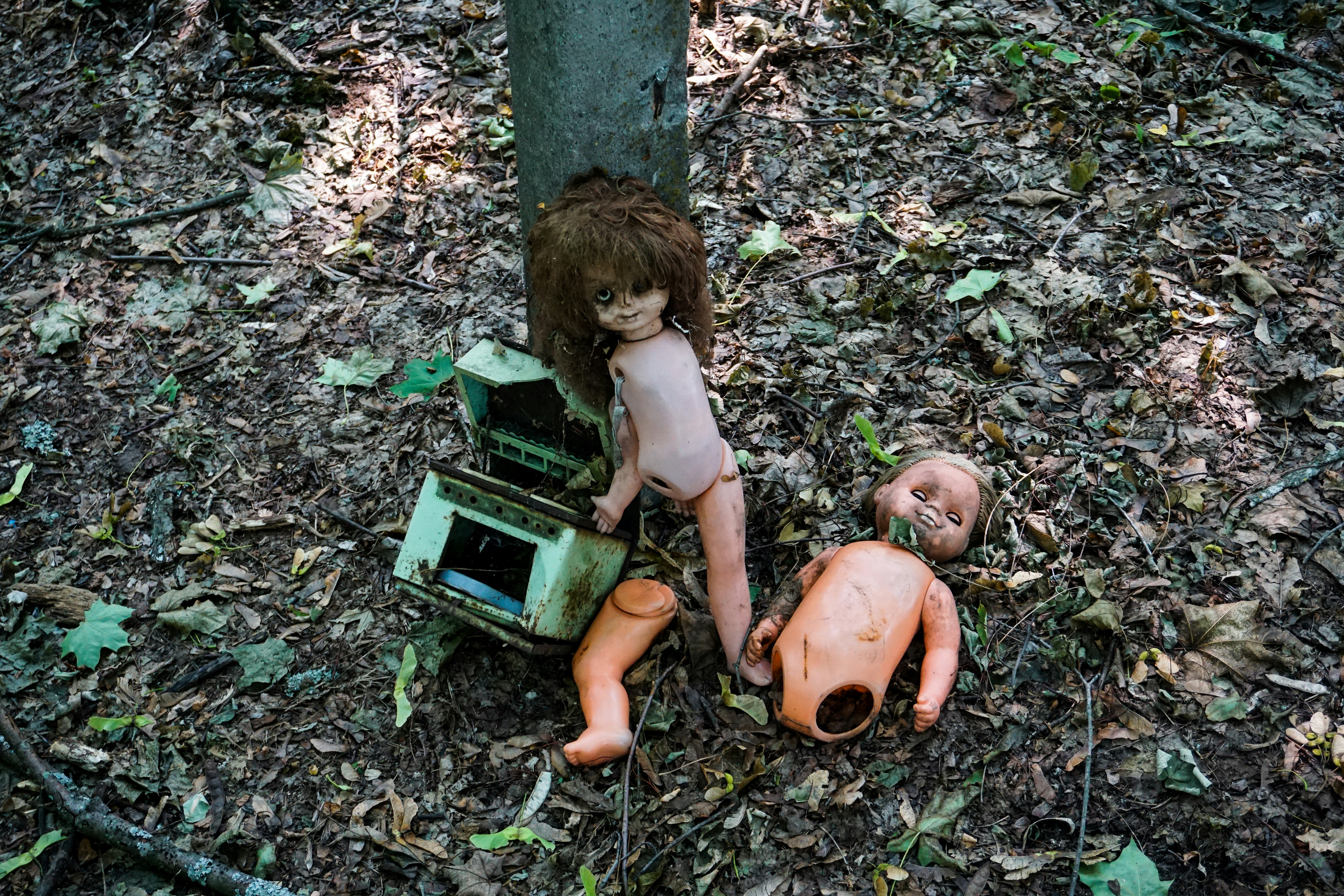 Two discarded dolls and an old toy chest lie on the forest floor, surrounded by fallen leaves and twigs. The scene evokes a sense of nostalgia and abandonment.