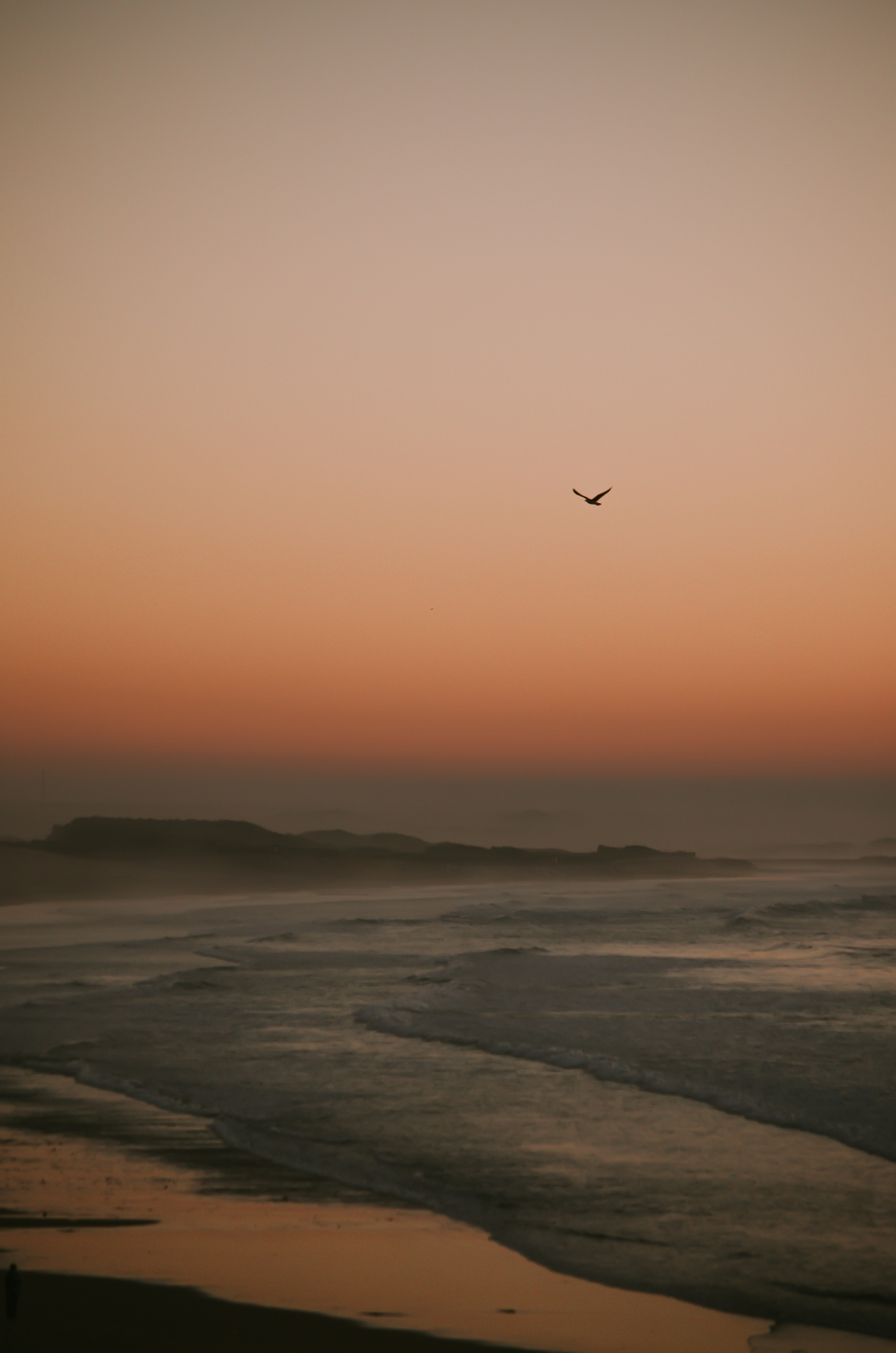 A solitary bird glides over gentle waves as the sun sets, casting a warm glow across the tranquil beach. The scene captures the peaceful essence of twilight by the ocean.