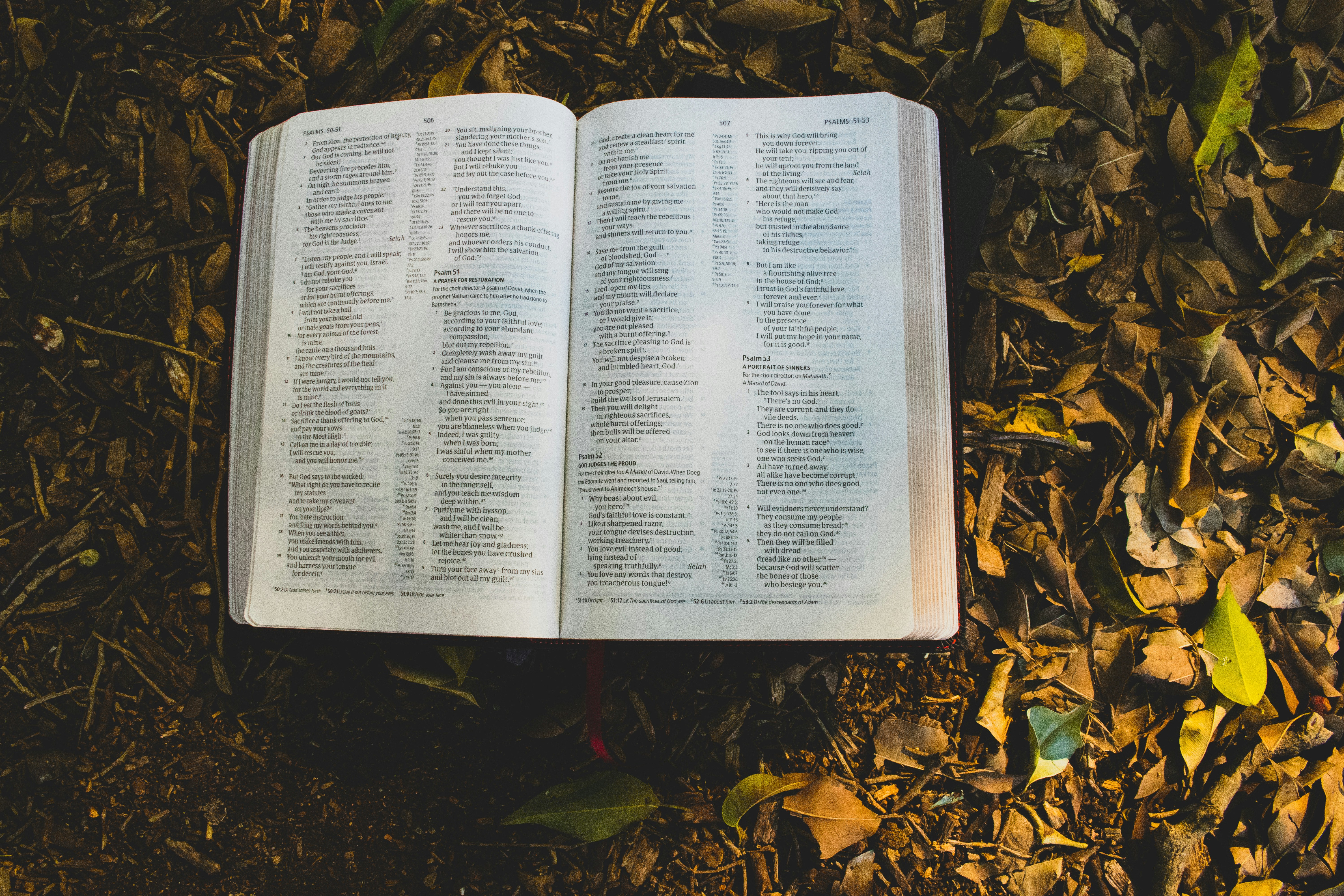 Black text book photo – Free Grey Image on Unsplash